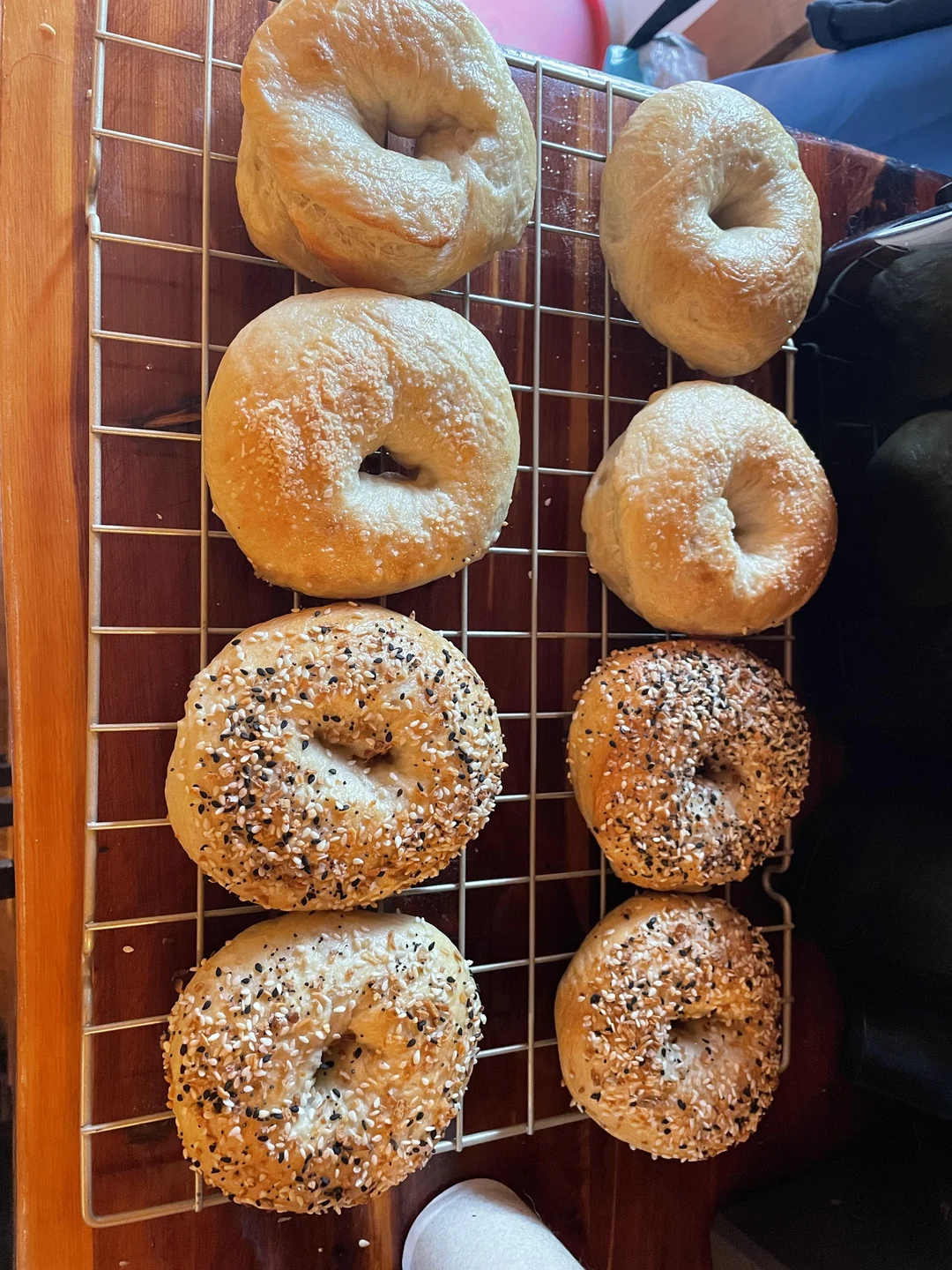 First shot at bagels | Scrolller