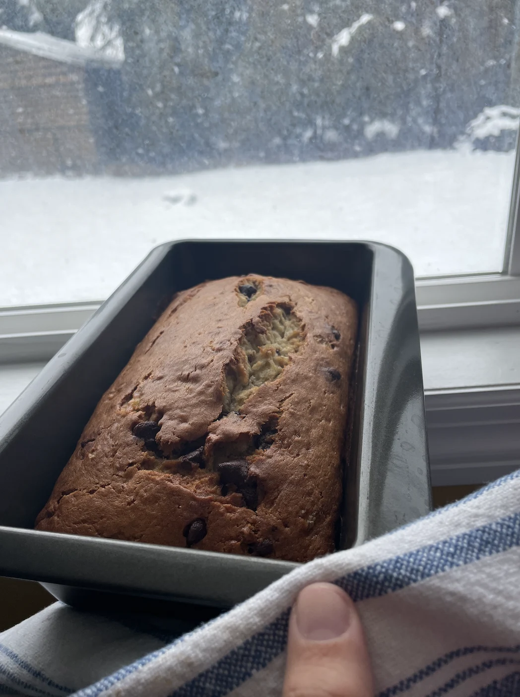 Chocolate Chip Banana Bread | Scrolller