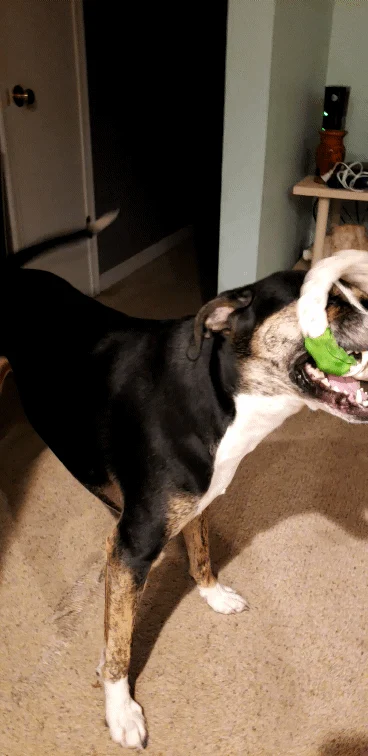 "Got my wreath!" - Doug | Scrolller