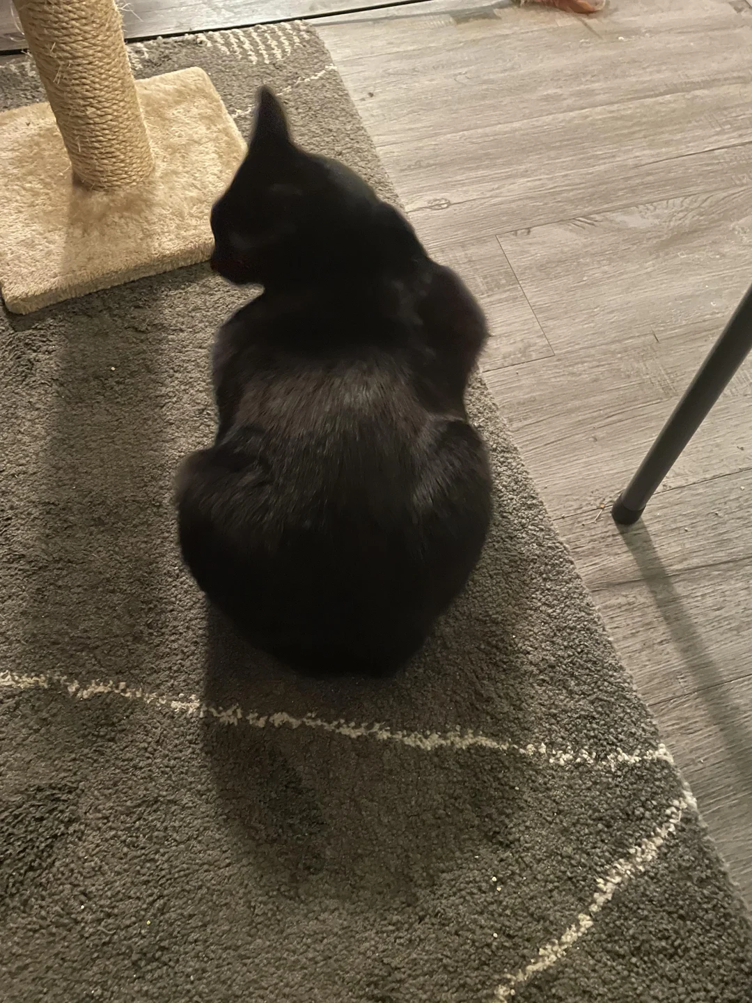 Back of a loud loaf | Scrolller
