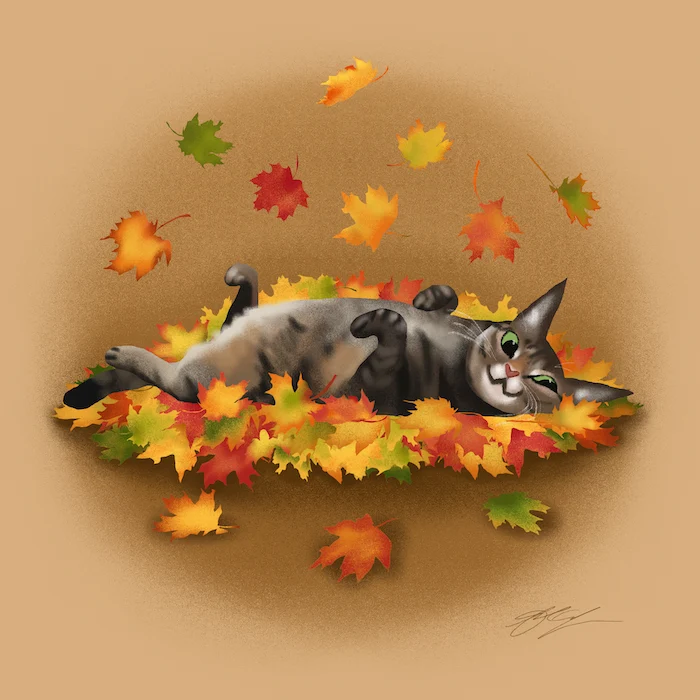 (OC) Fall Kitty | Scrolller