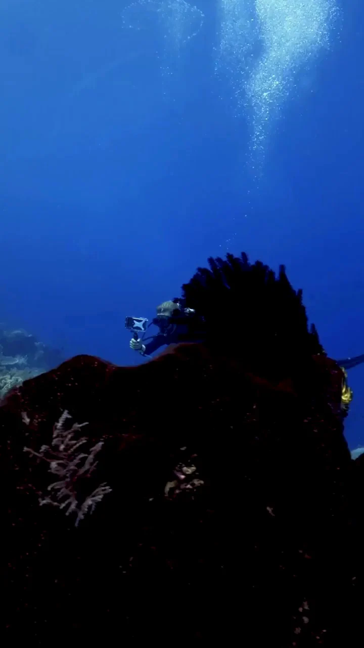 Scuba Diving | Scrolller