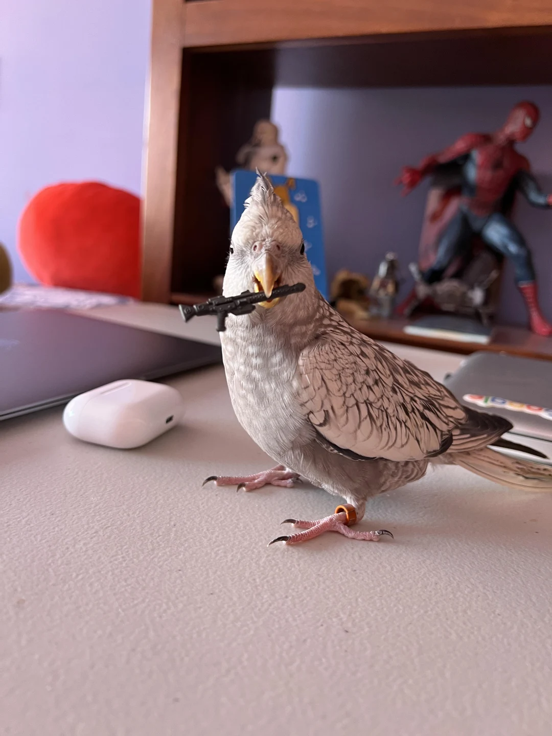 You picked the wrong house fool | Scrolller