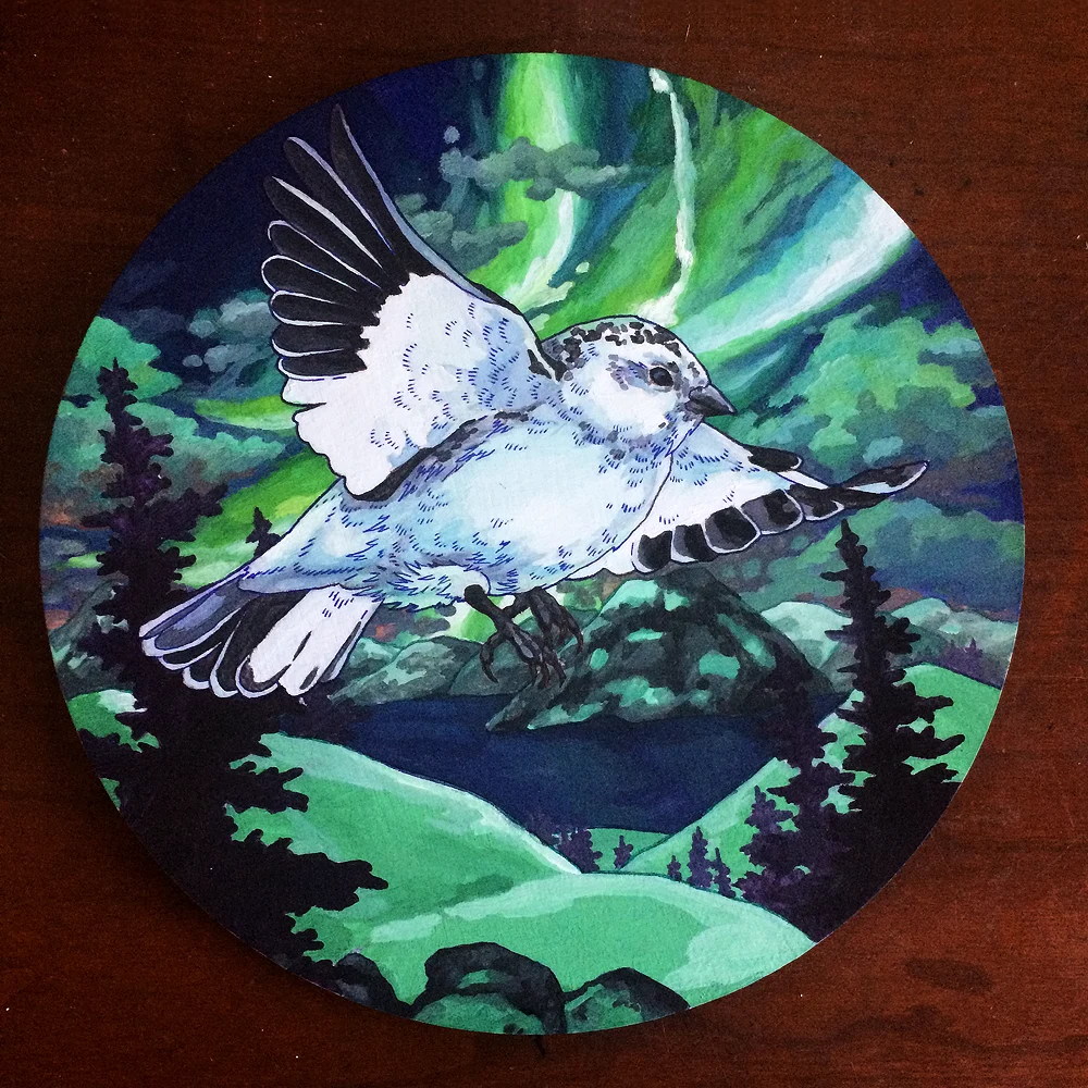 Snow Bunting, Me, Gouache and Ballpoint Pen, 2022 | Scrolller