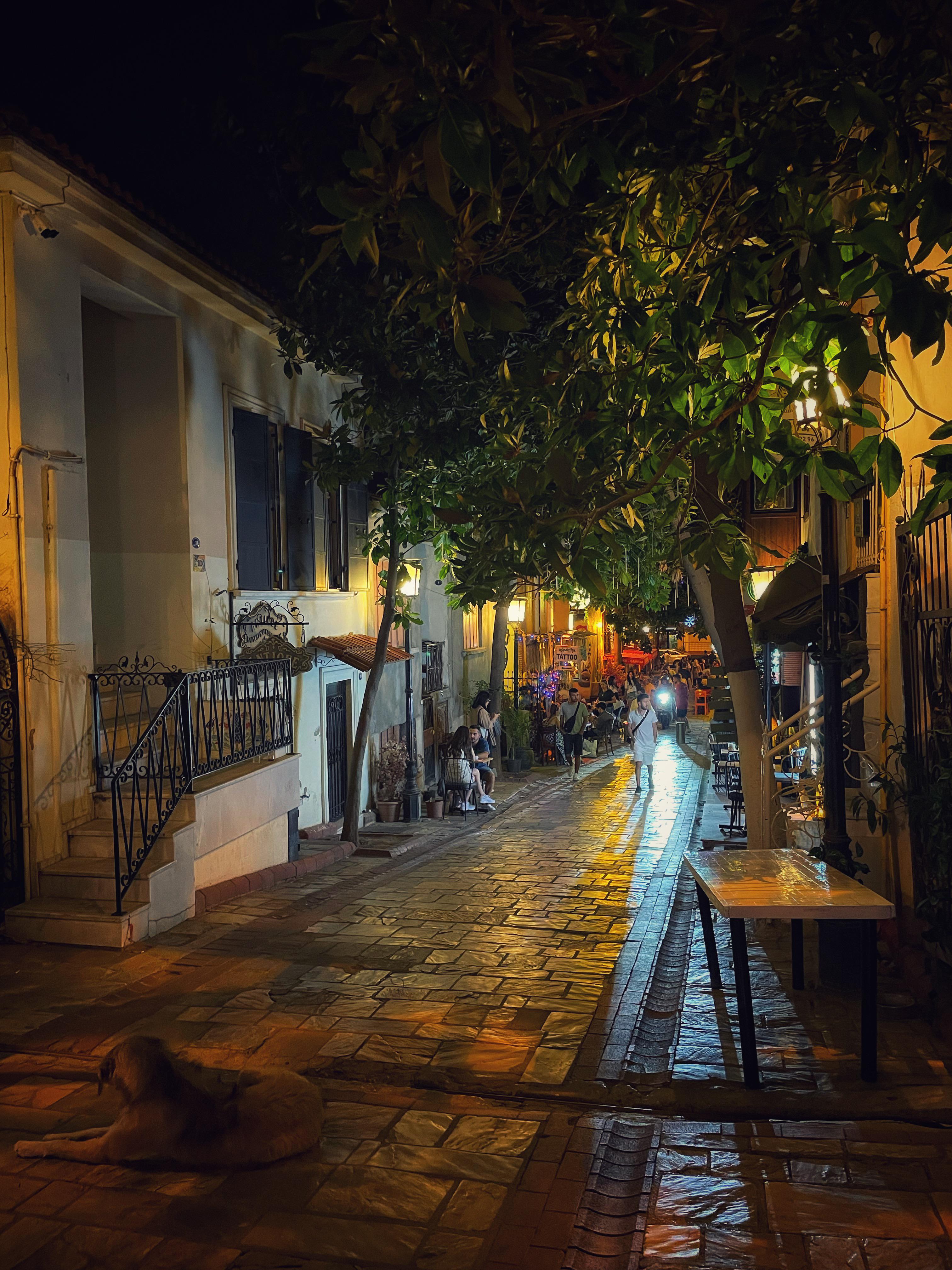 Nightwalk | Scrolller