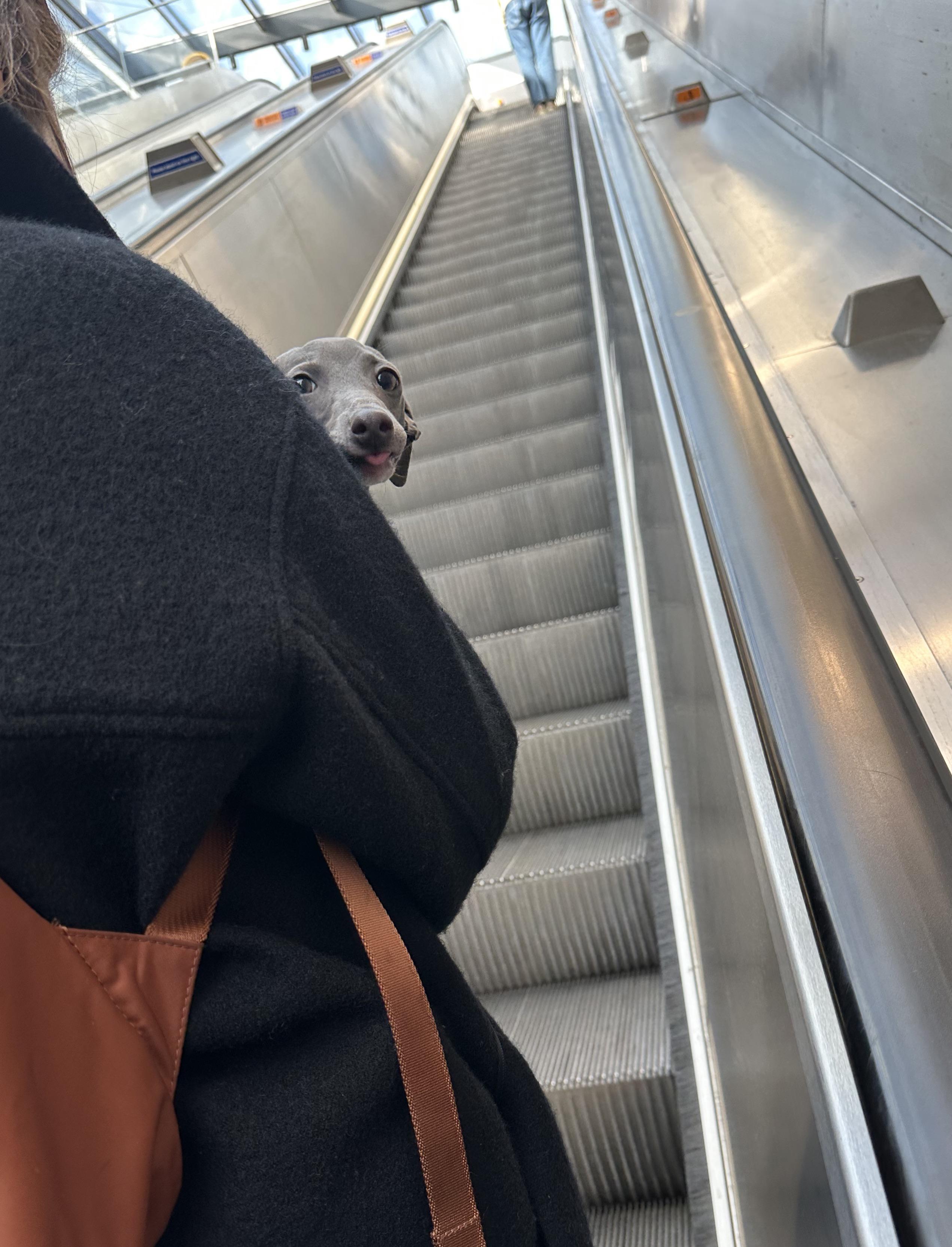 Met a nice passenger on the tube | Scrolller