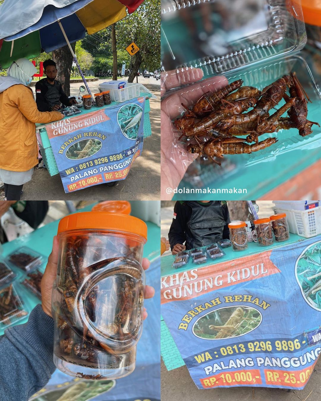 Crispy Grasshopper | Scrolller