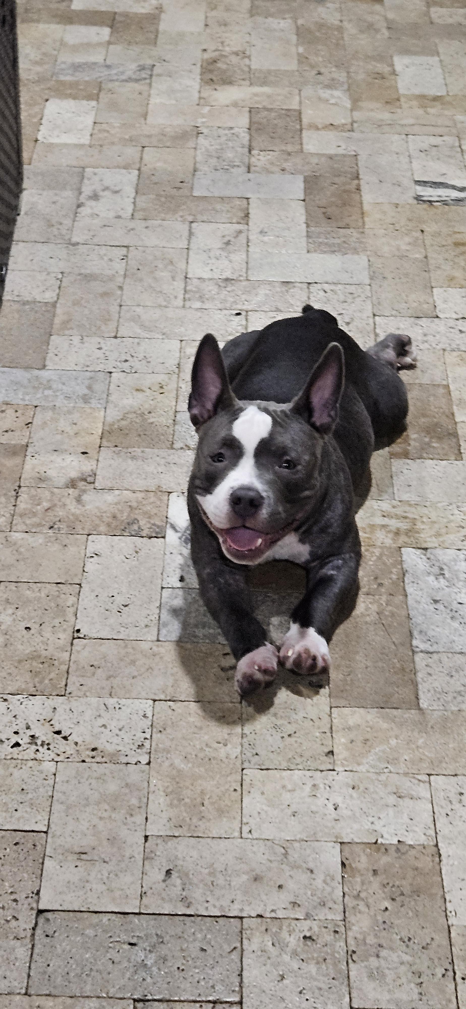 Meet my little Astro Bot | Scrolller