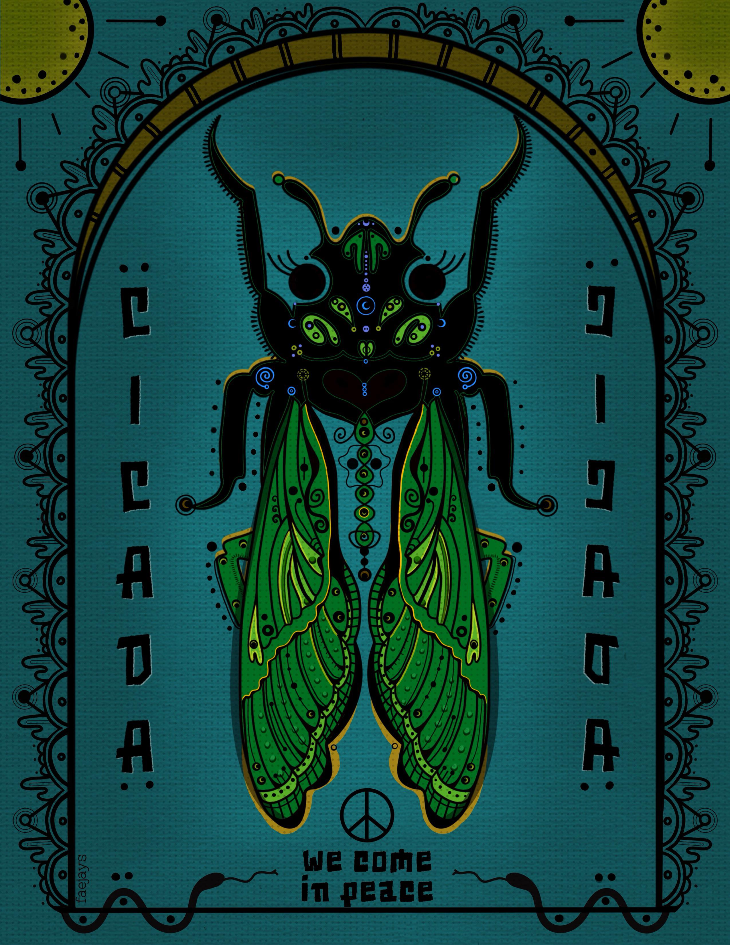 Cicada appreciation post | Scrolller
