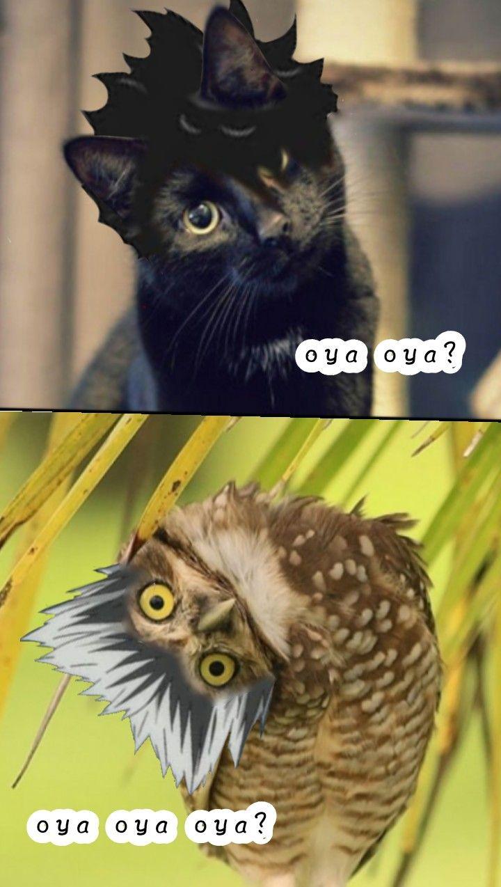 Do you see any difference? | Scrolller