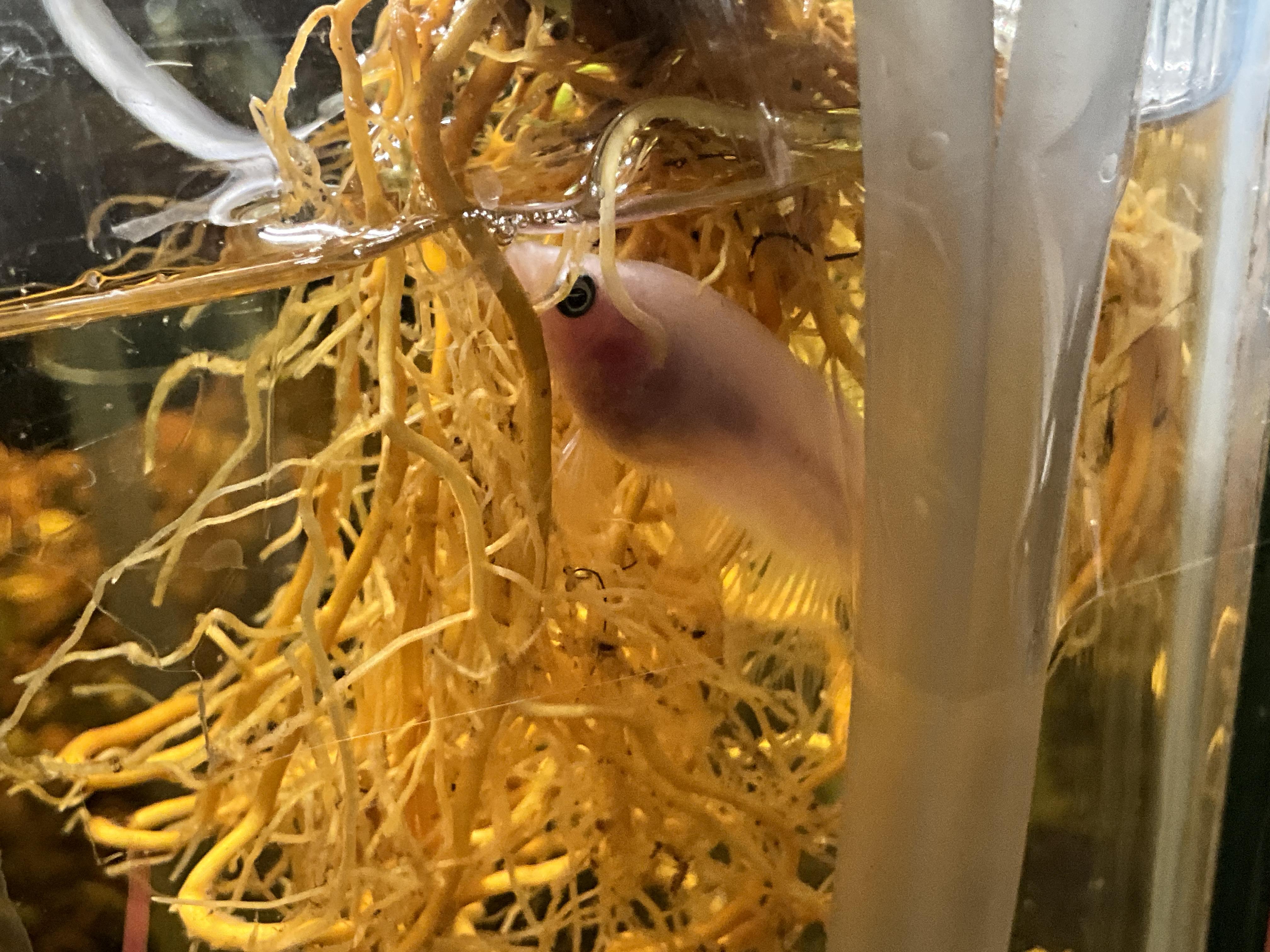 Perfect spot for a nap | Scrolller