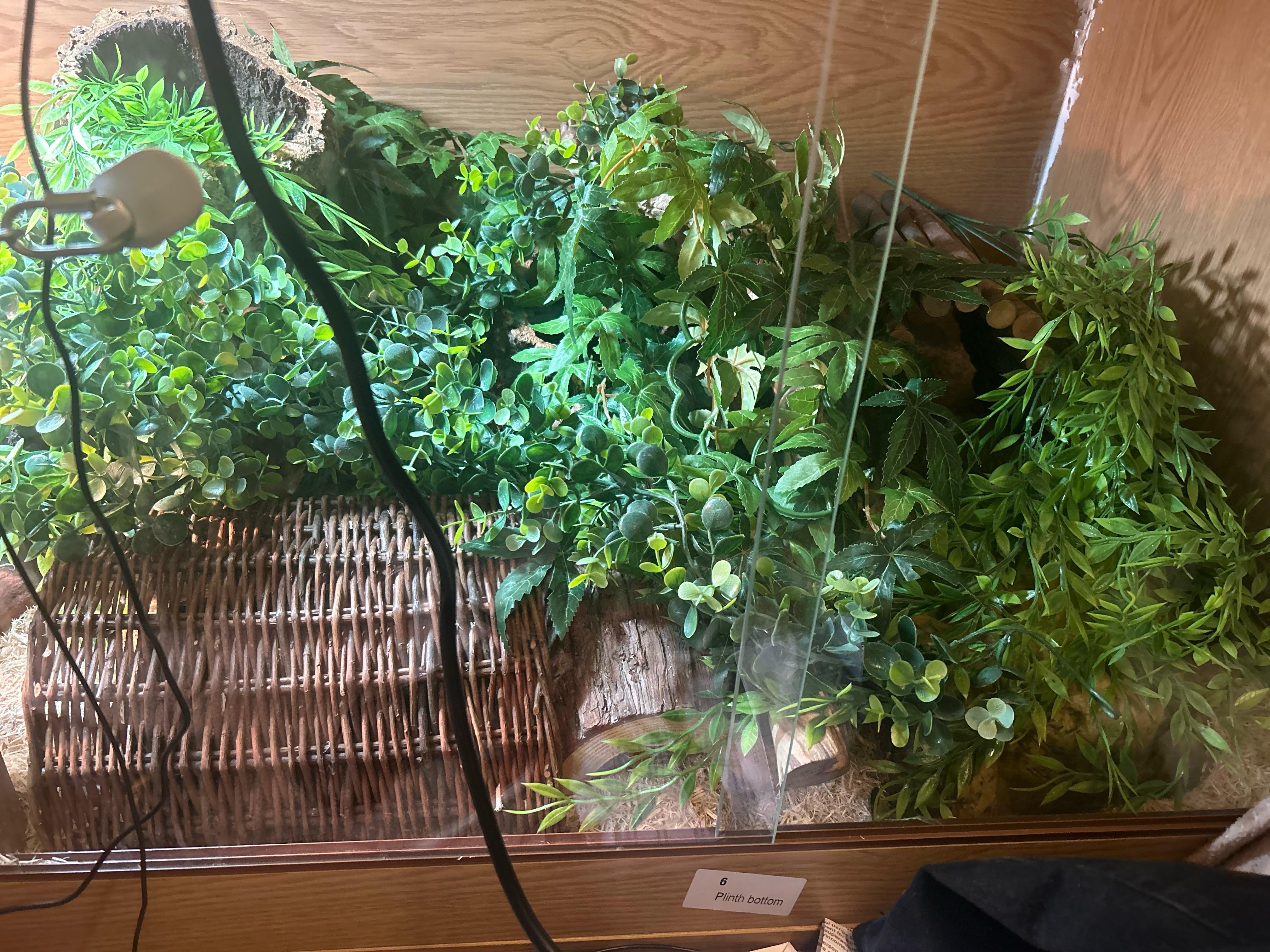 Thoughts on my enclosure | Scrolller