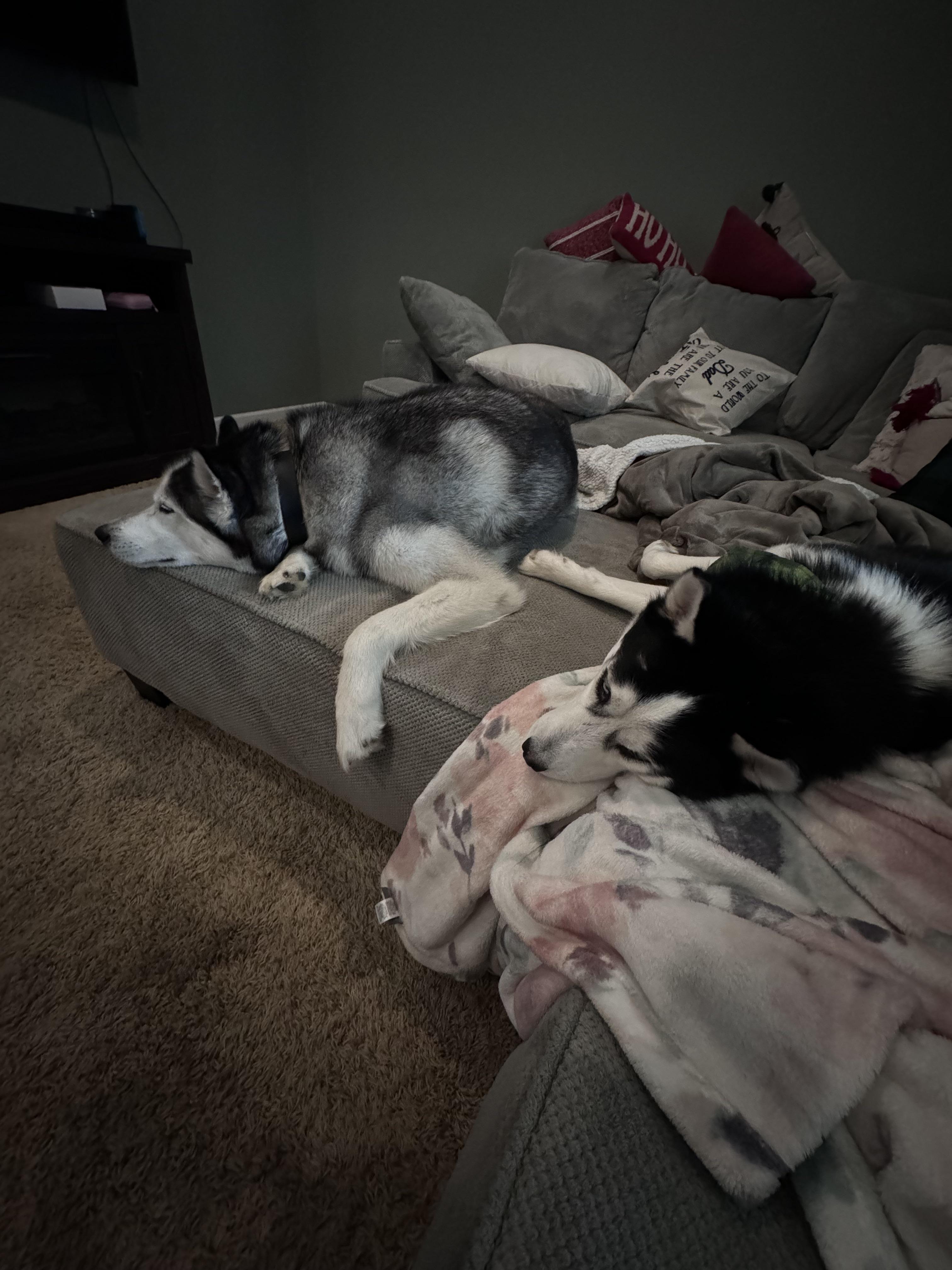 Sometimes it’s hard for them to keep their paws to themselves. | Scrolller