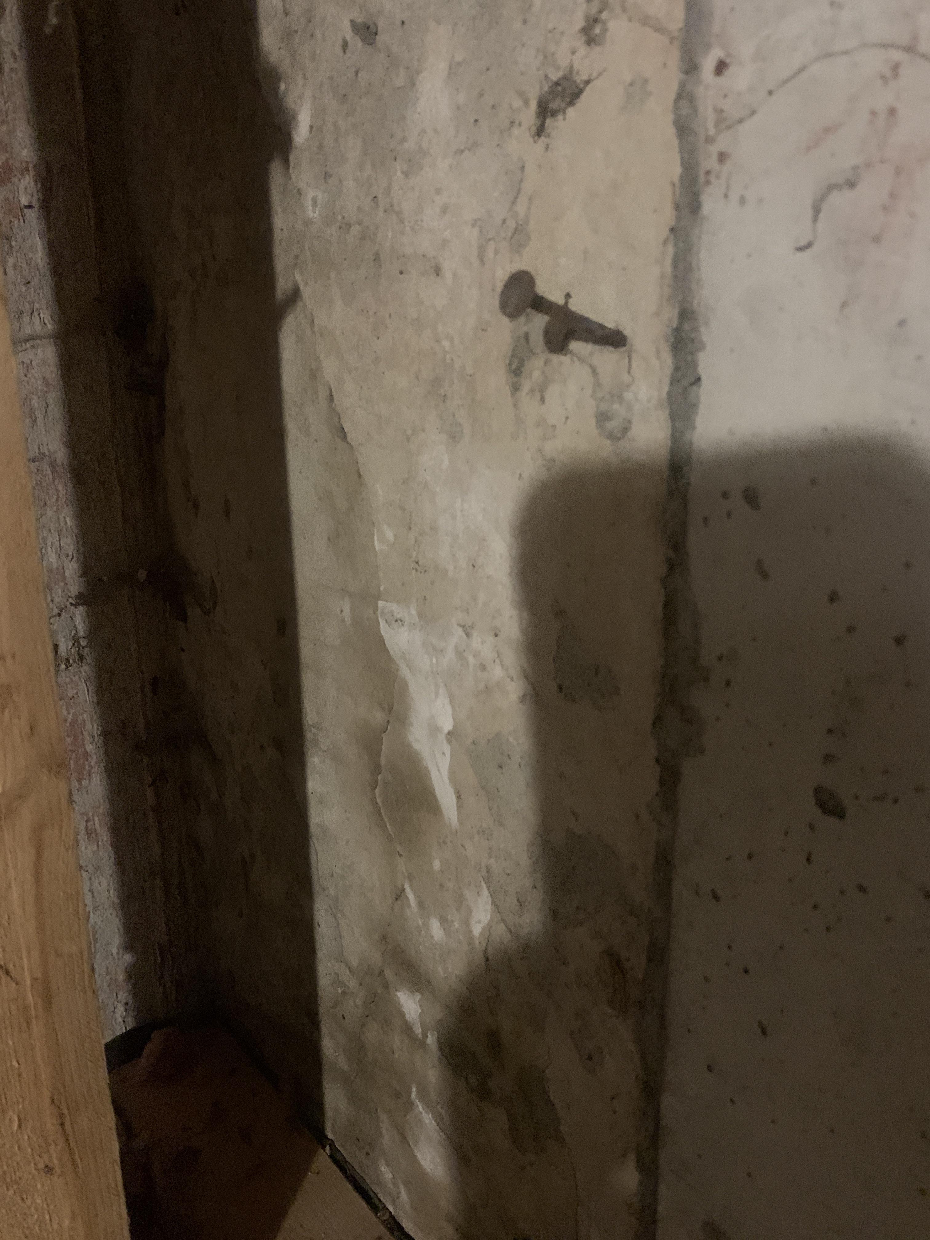 Foundation leak | Scrolller