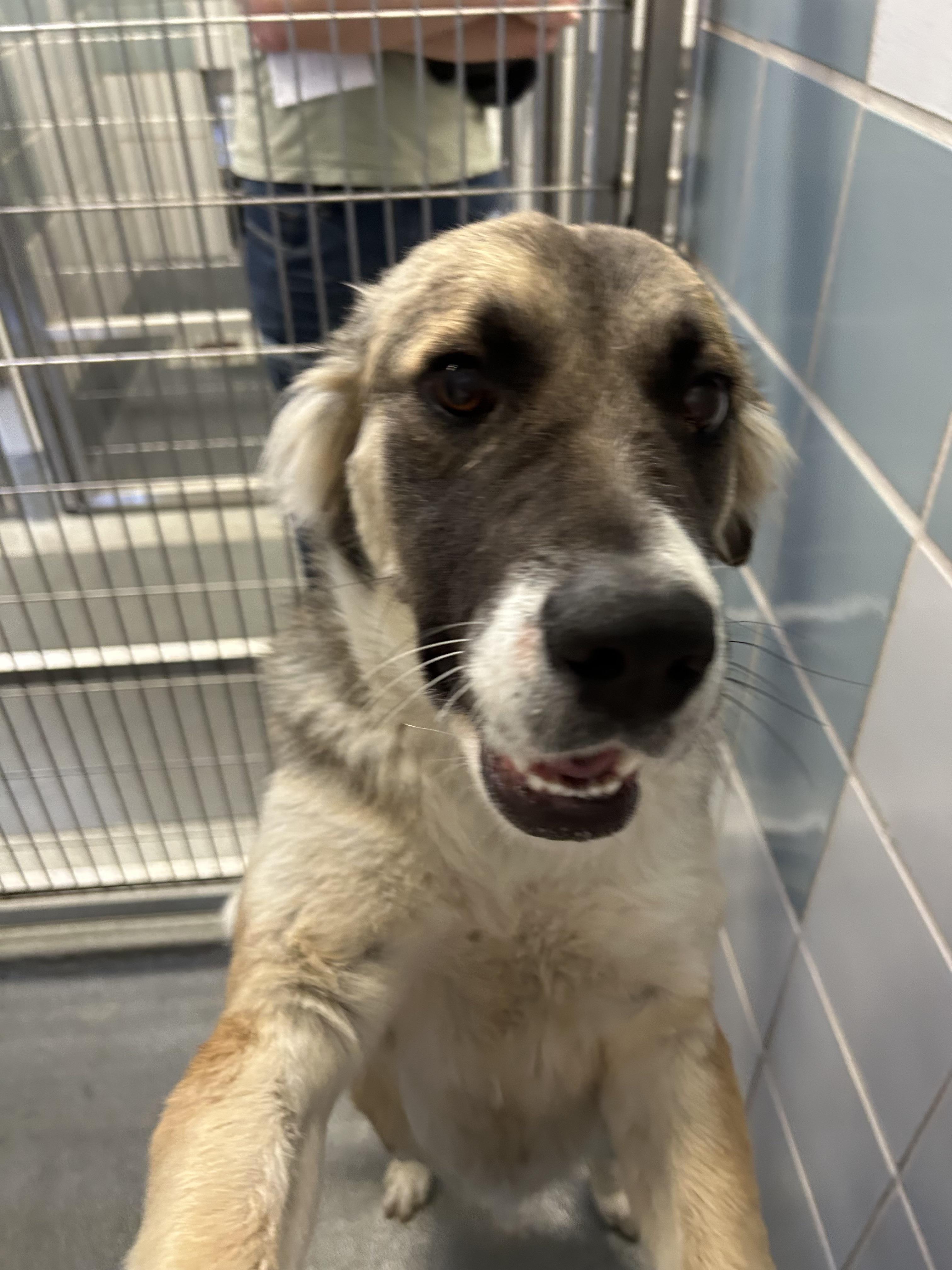 Meet Ruby | Scrolller