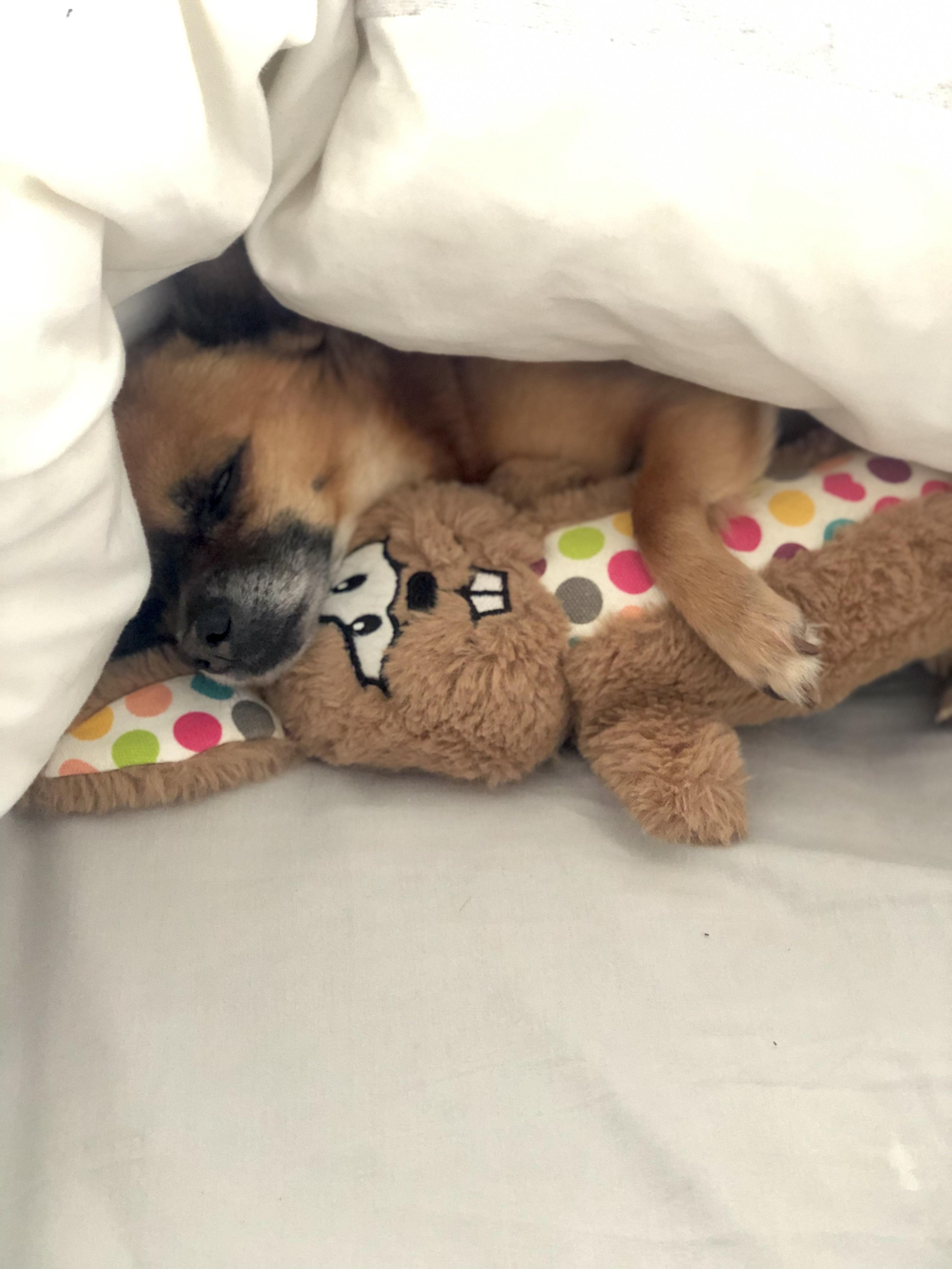 Sleepy baby | Scrolller