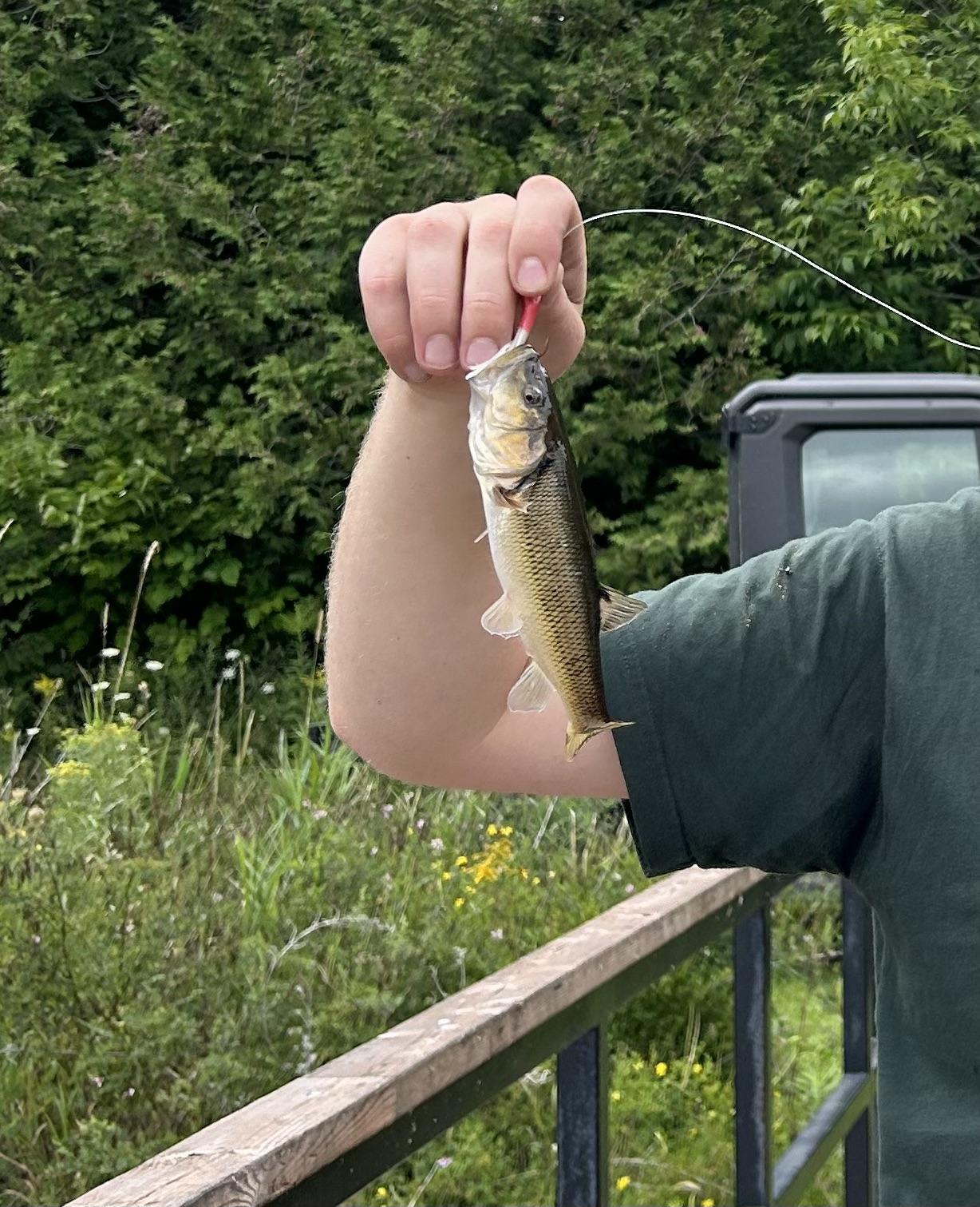 Does anyone know these species? | Scrolller