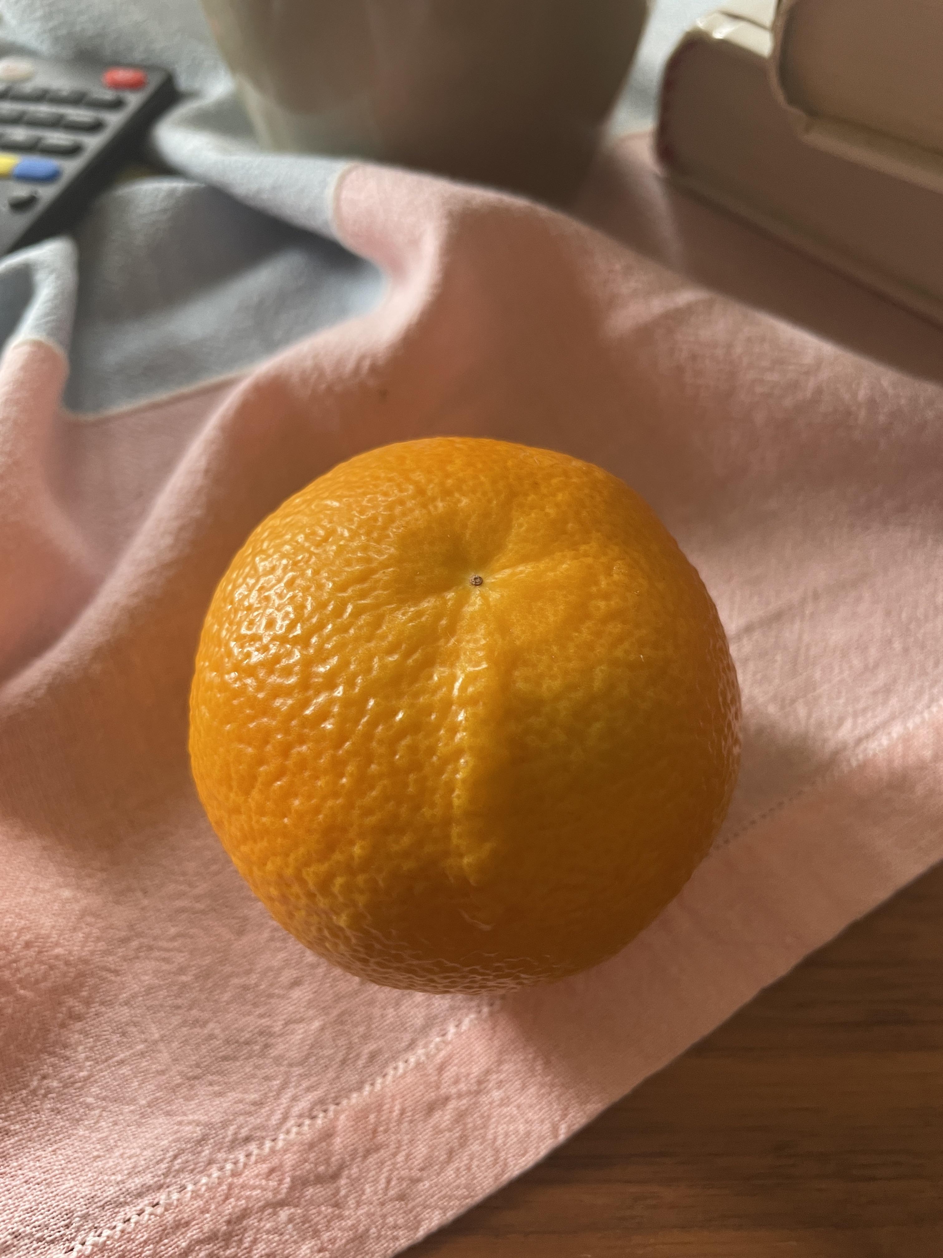 What type of citrus fruit is this? | Scrolller