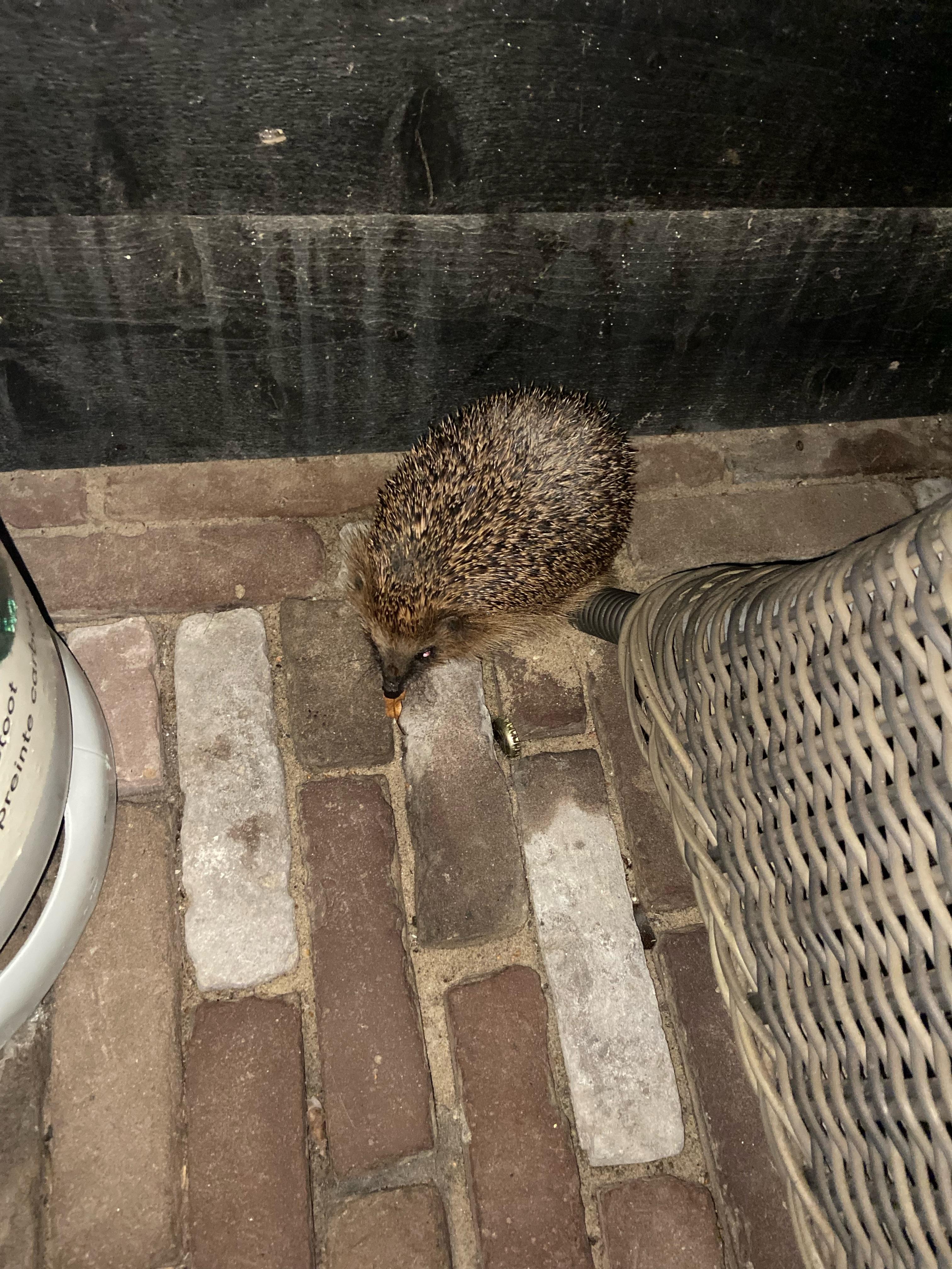 What are these ‘wet’ spots | Scrolller