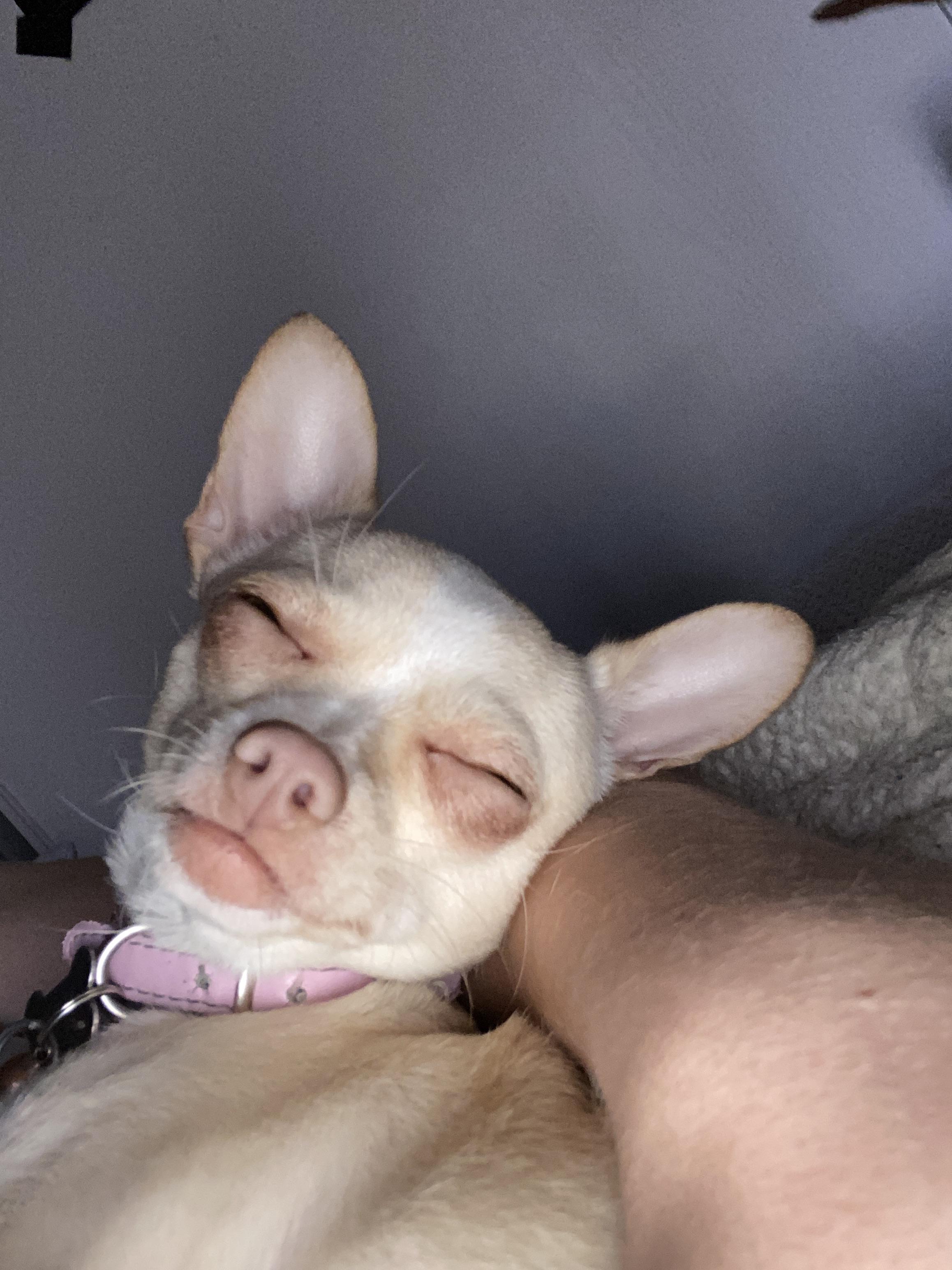 Since some people wanted to see more of the Bip | Scrolller