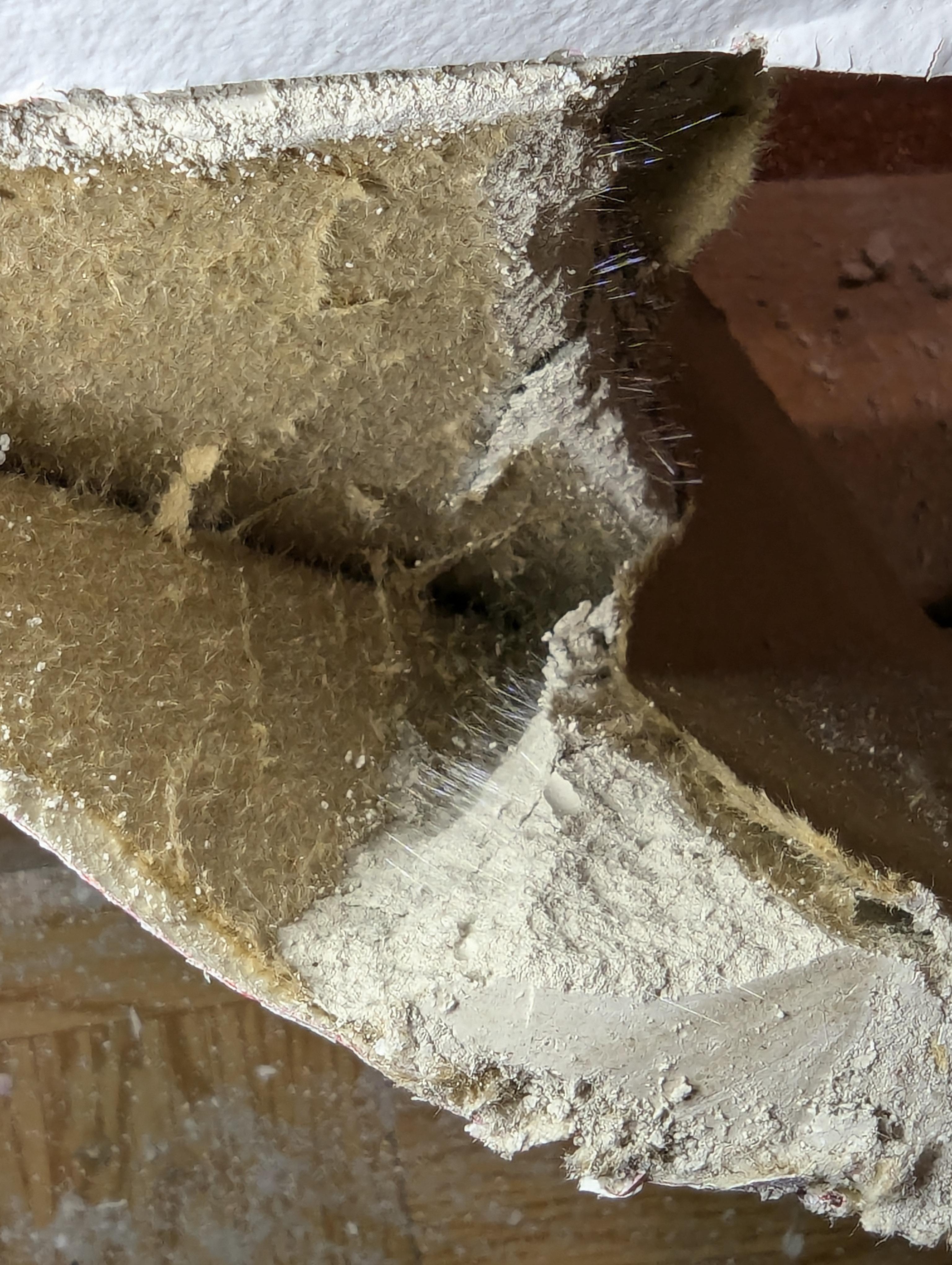Discover more like Home: Is this mold in drywall? and Related Content | Scrolller