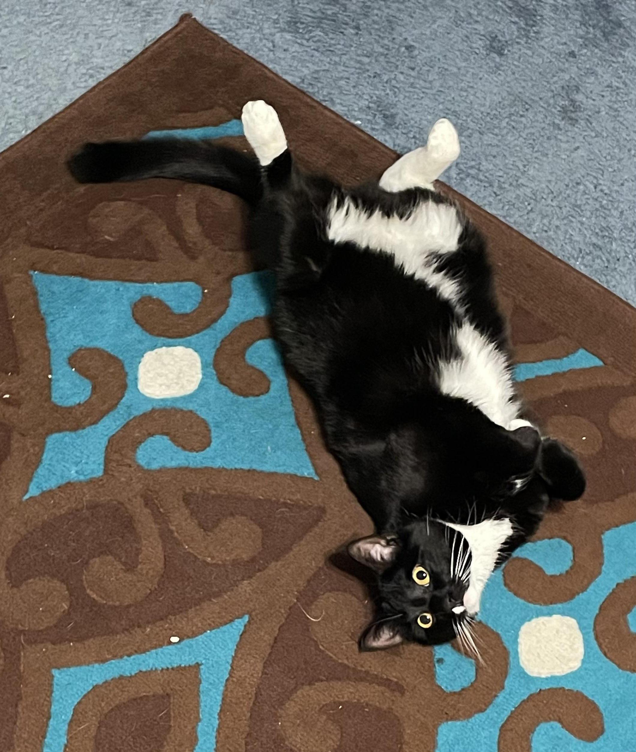 Flip 🙂‍↔️ | Scrolller