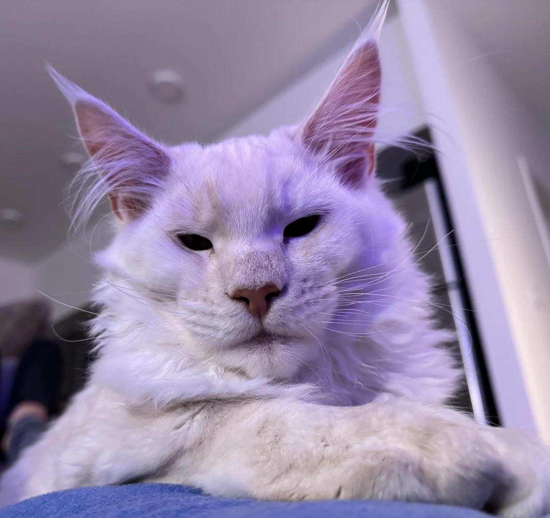 Casper is also 5 months old | Scrolller