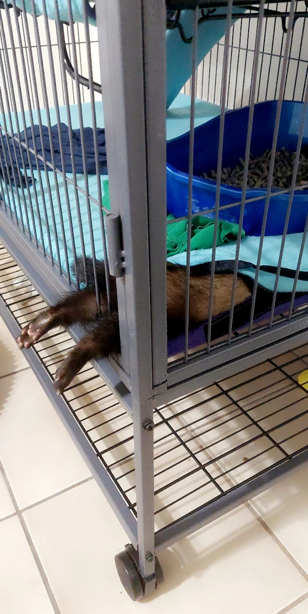 a normal way to sleep | Scrolller