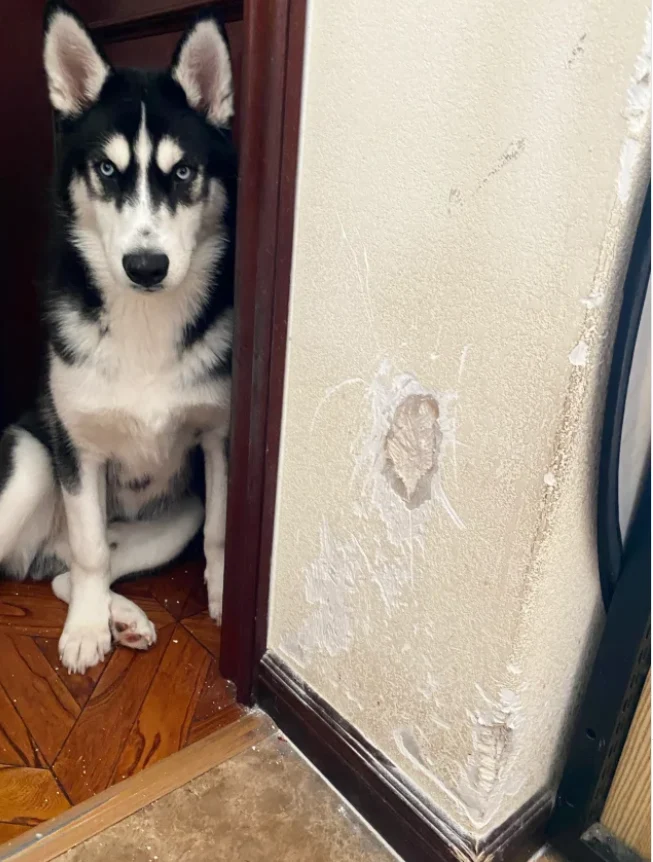 identify crime scene | Scrolller