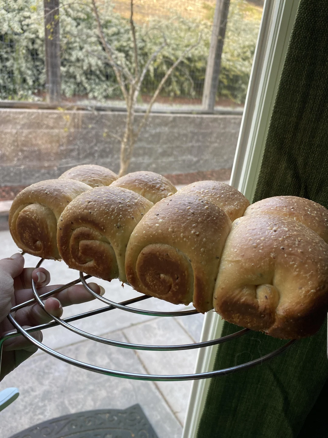 Oatmeal milk bread rolls…they’re just so cute! | Scrolller