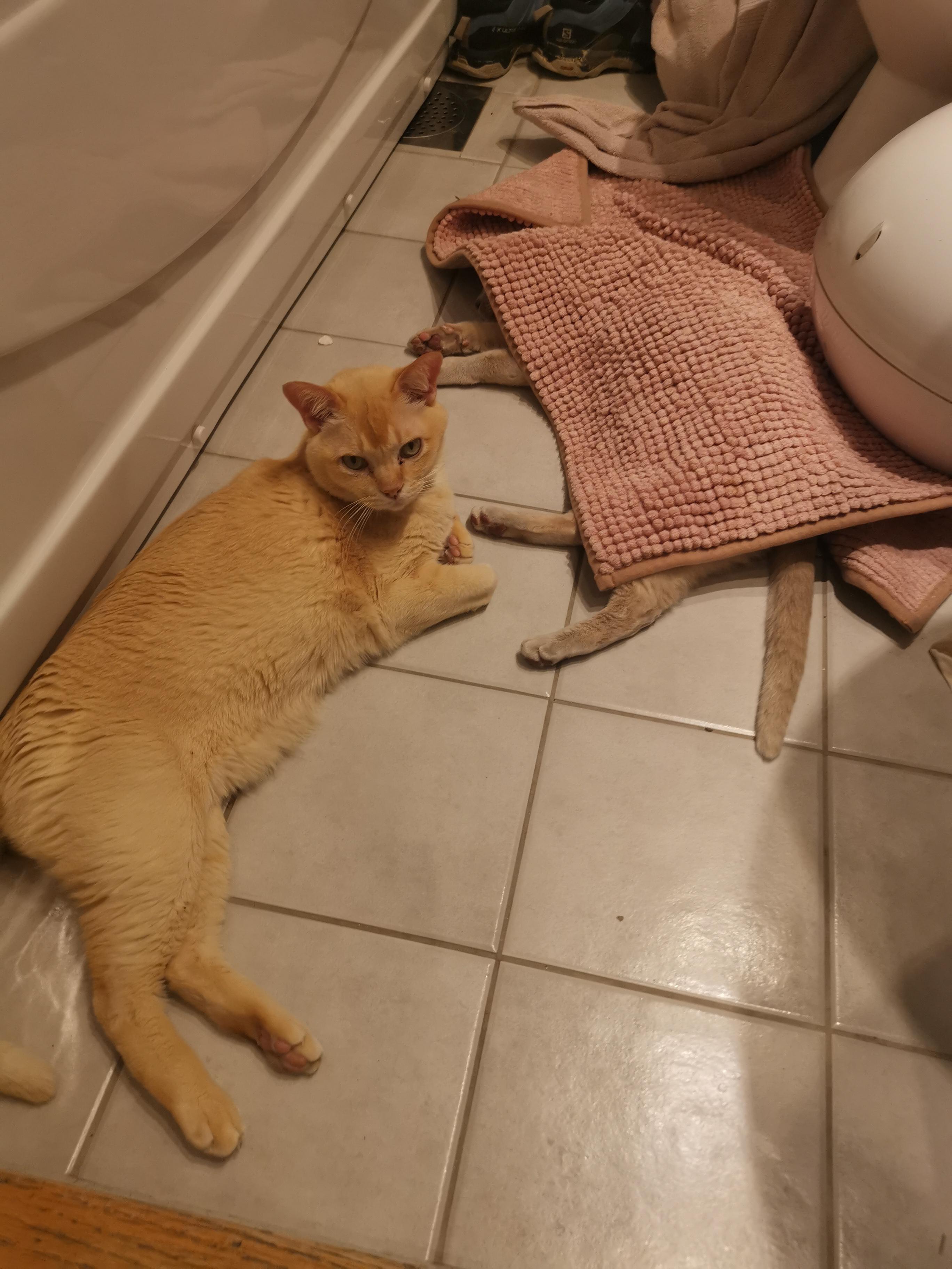 Second time today they did something post worthy | Scrolller