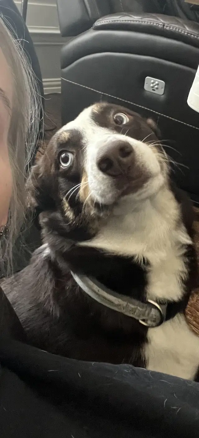 Whatcha doing mom? | Scrolller