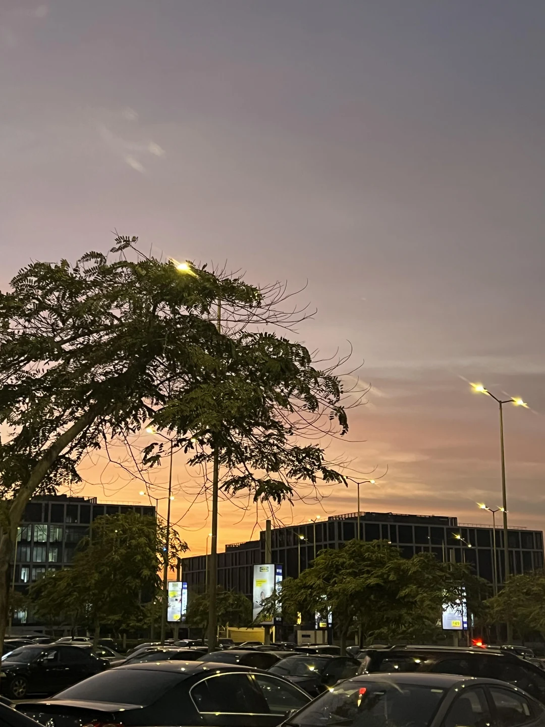 Sunset, cairo ,Egypt | Scrolller