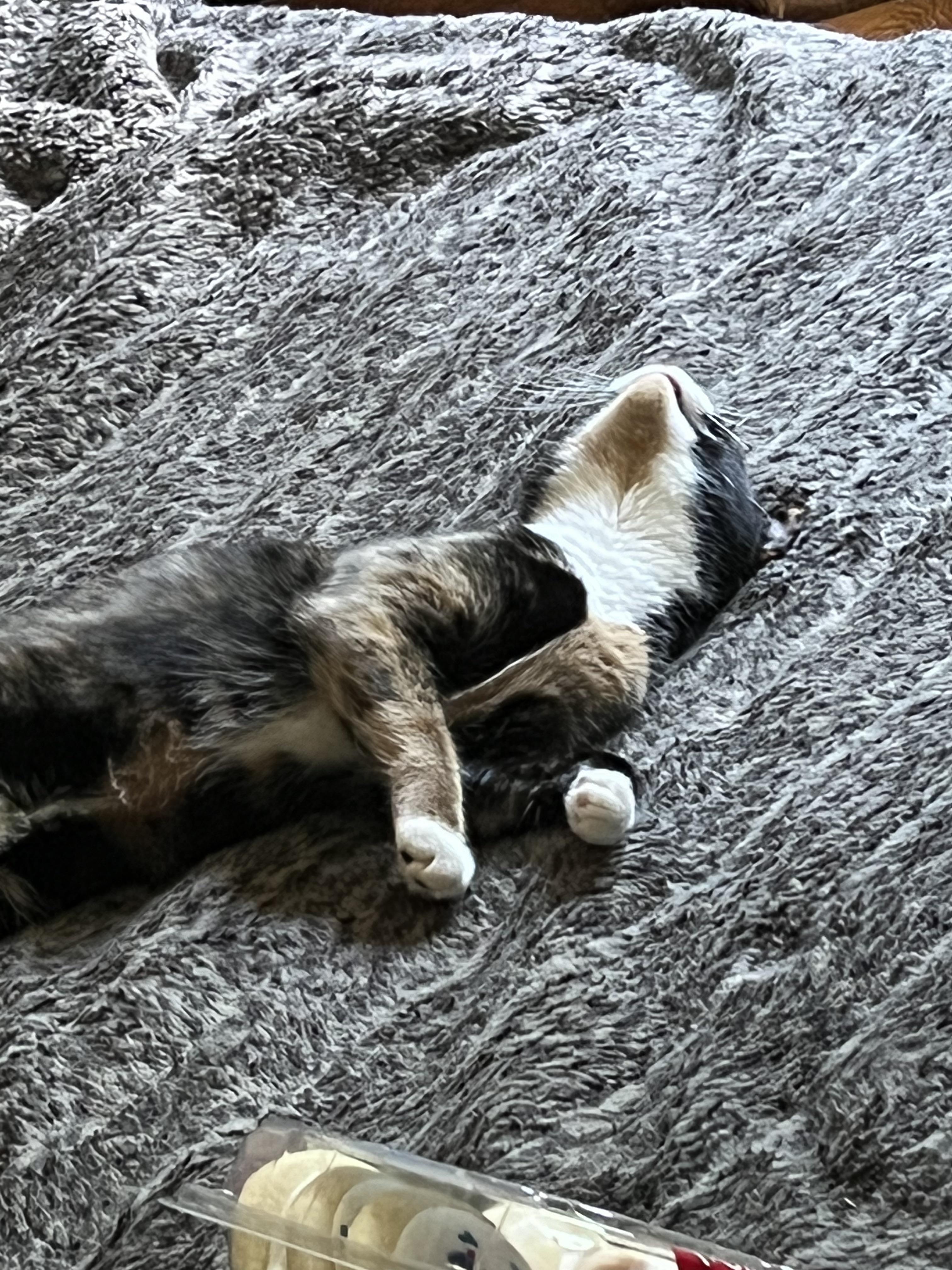 Very comfy butters | Scrolller