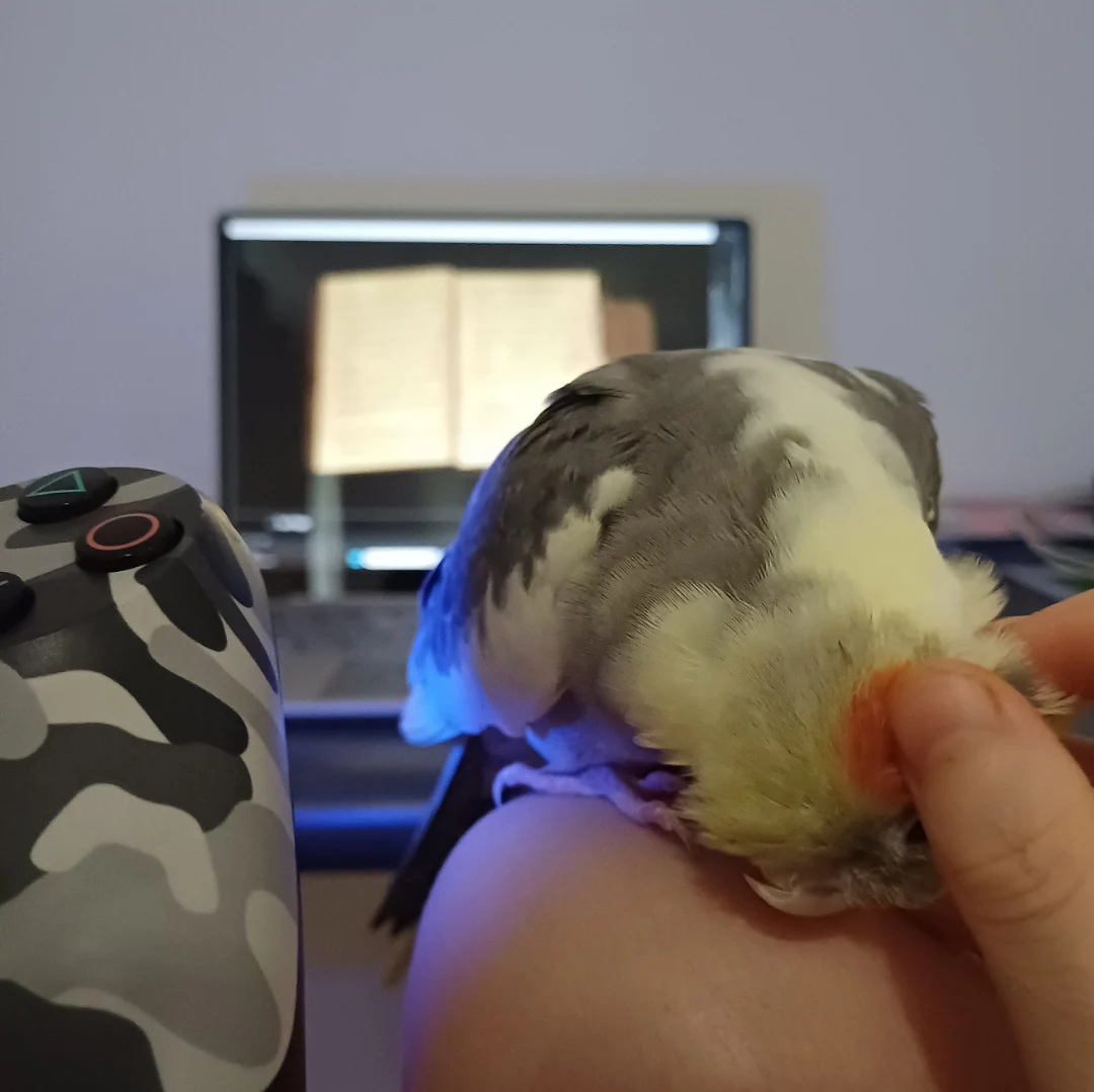 Press the ORANGE BUTTON | Scrolller