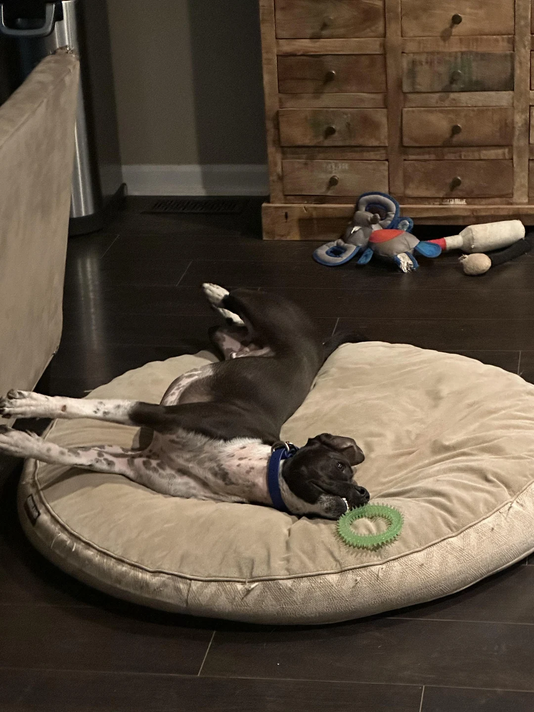 Comfort is subjective. | Scrolller