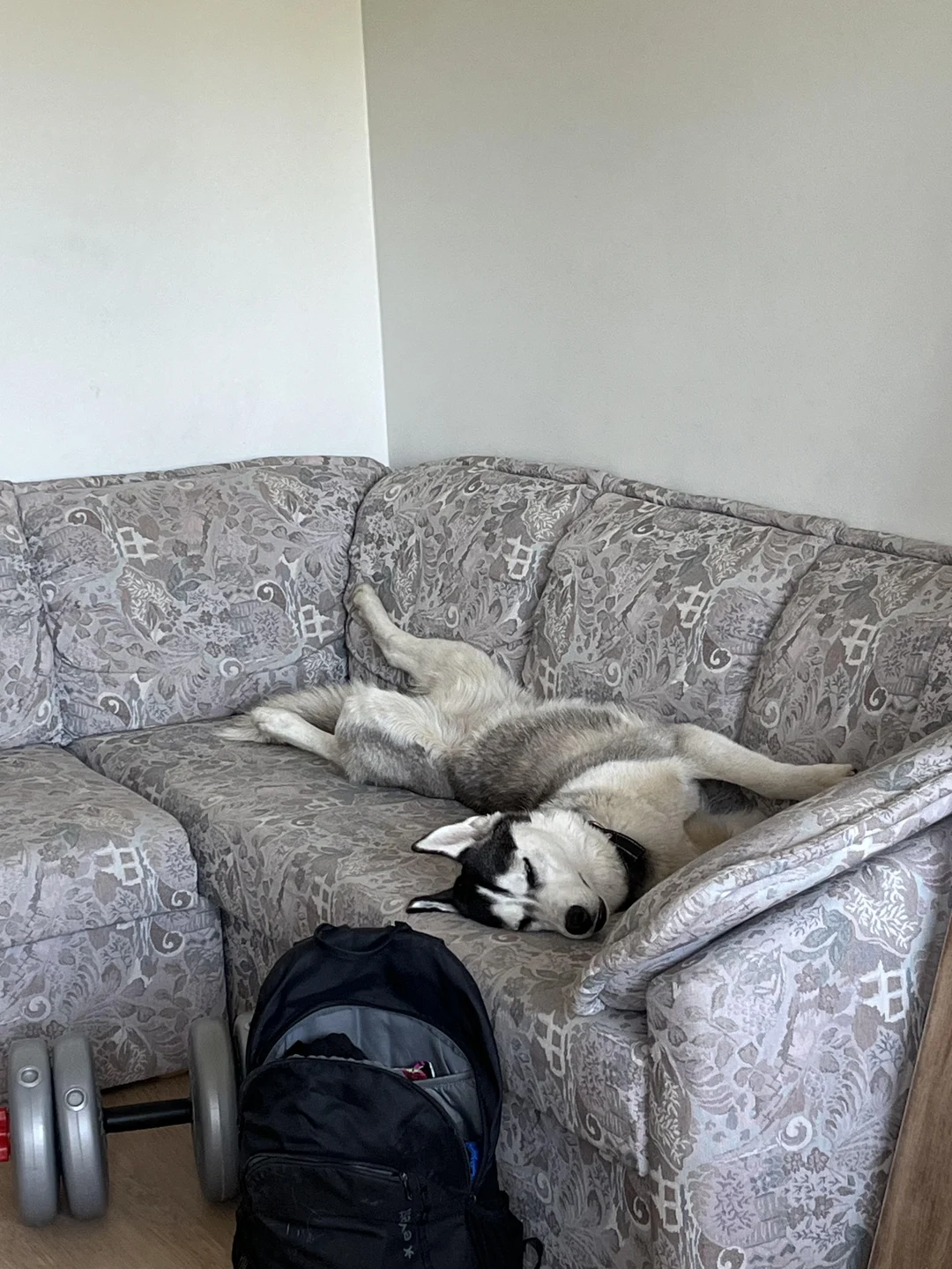 Sleeping | Scrolller