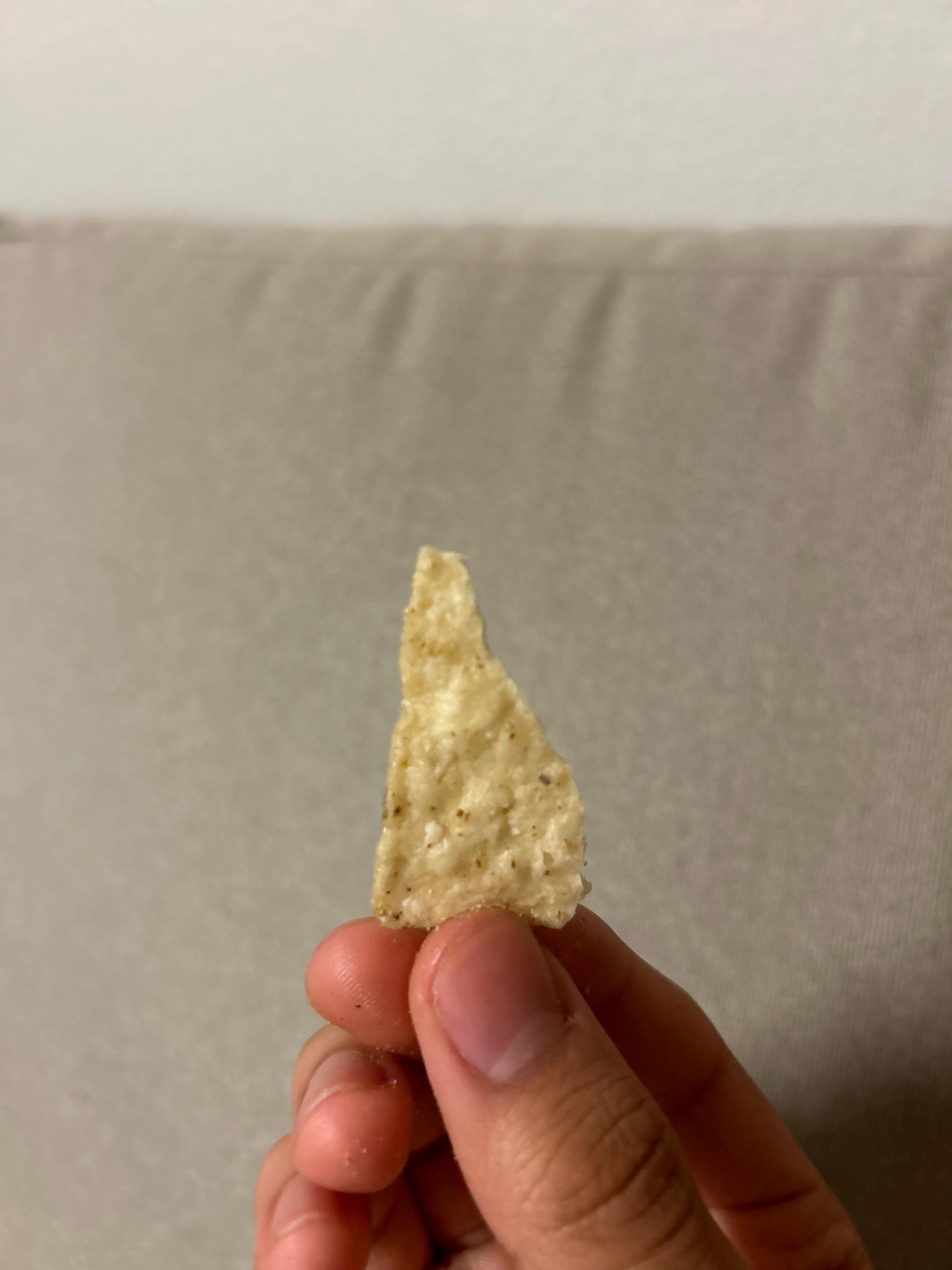 This tortilla chip looks like Idaho | Scrolller