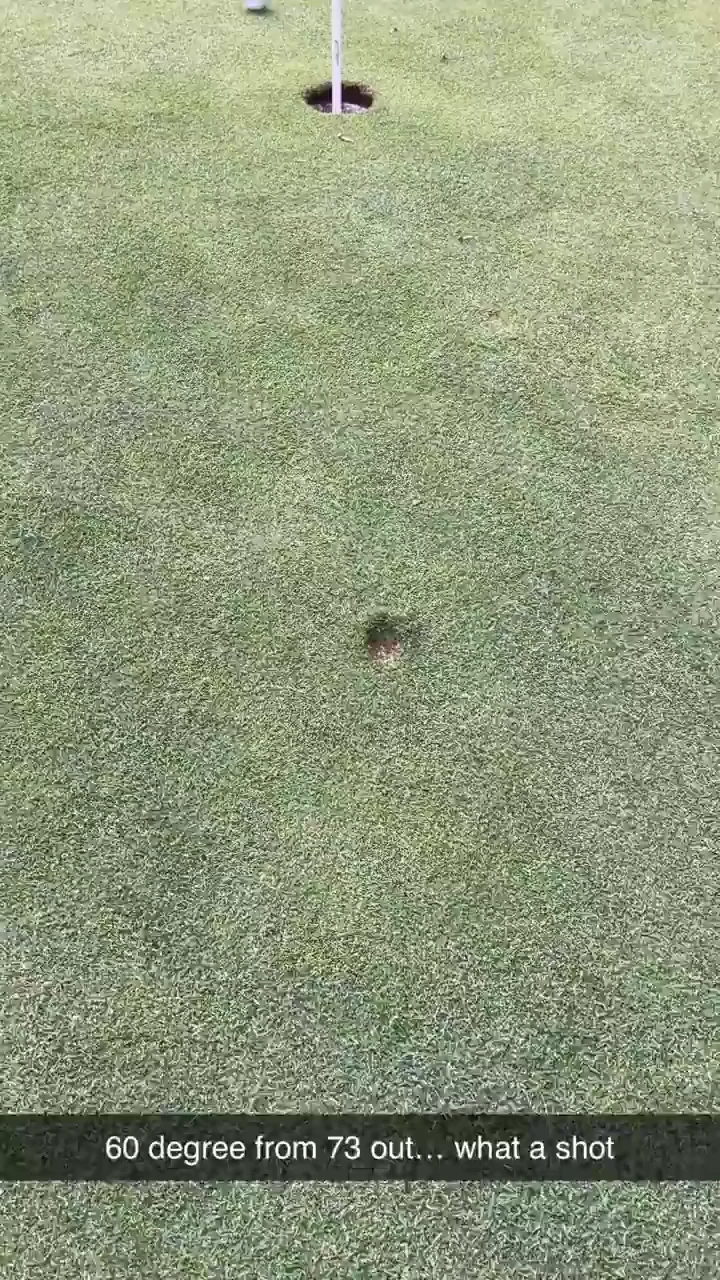 Looking back on this golf season…. | Scrolller