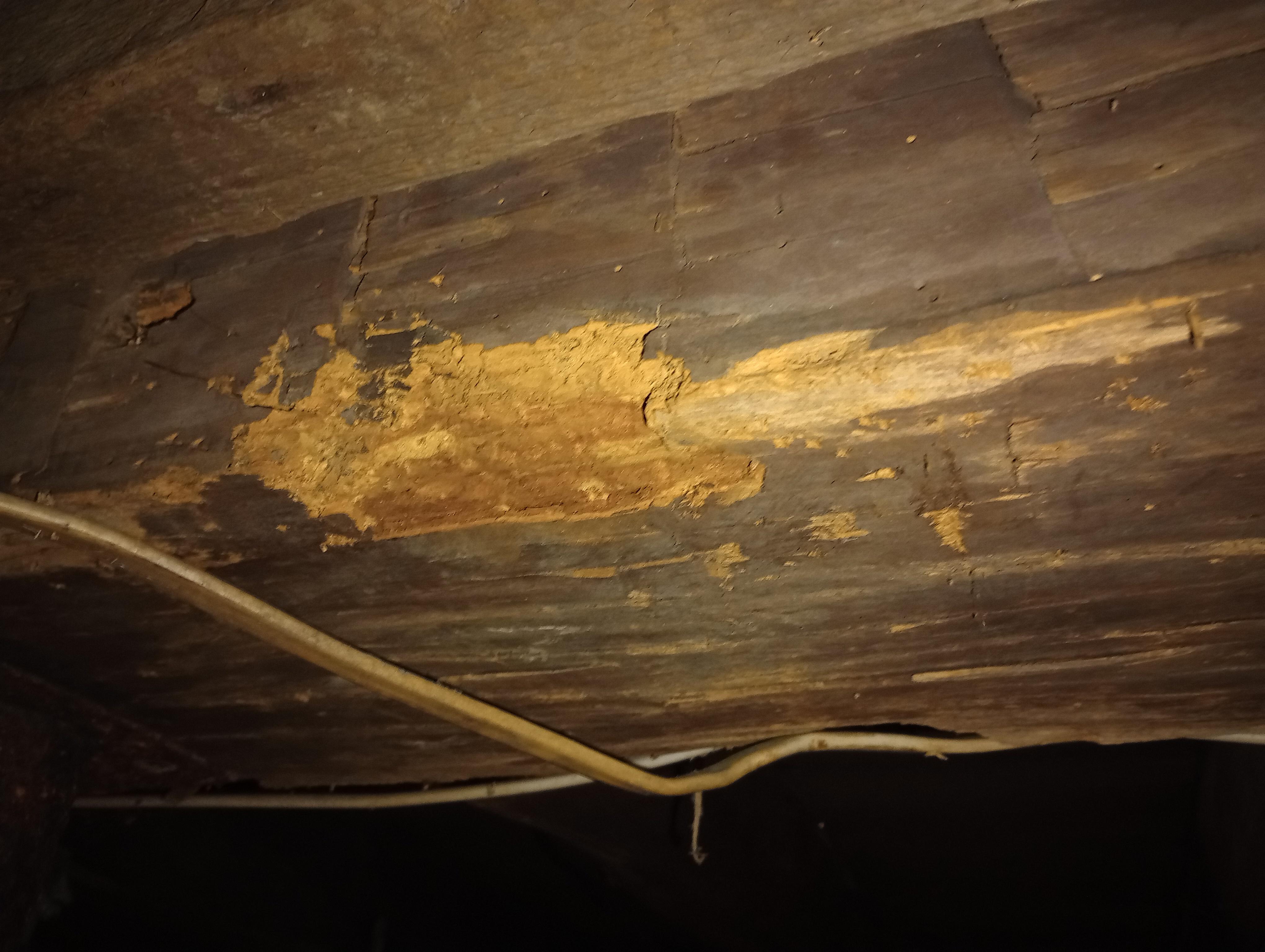 200 year old beam | Scrolller