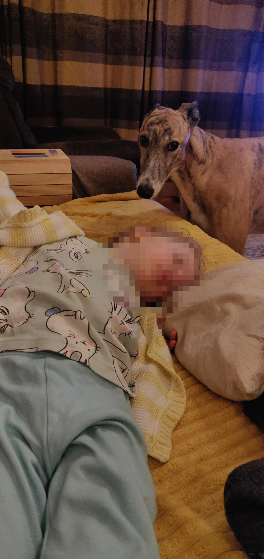 Excuse me, there is...something...in my spot. | Scrolller