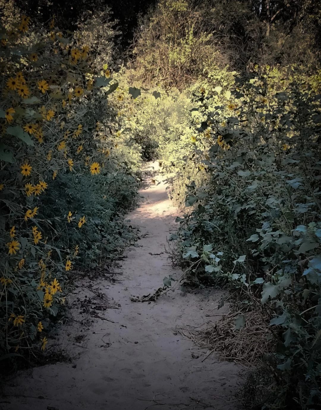 Freedom? | Scrolller