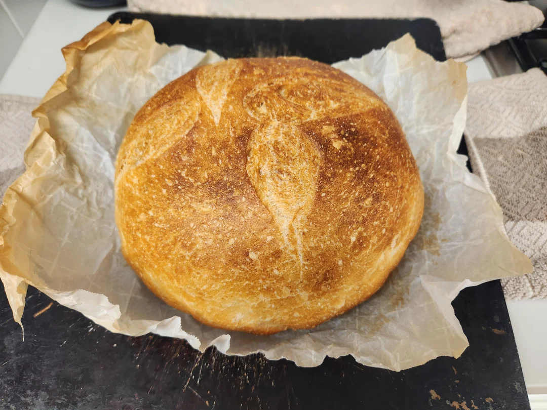 My very first bread attempt. I think it came out pretty good! | Scrolller