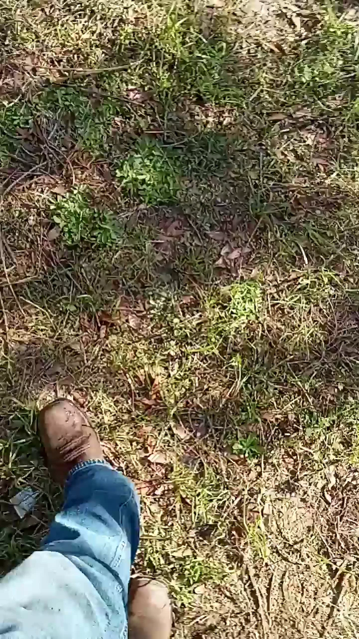 Small update | Scrolller