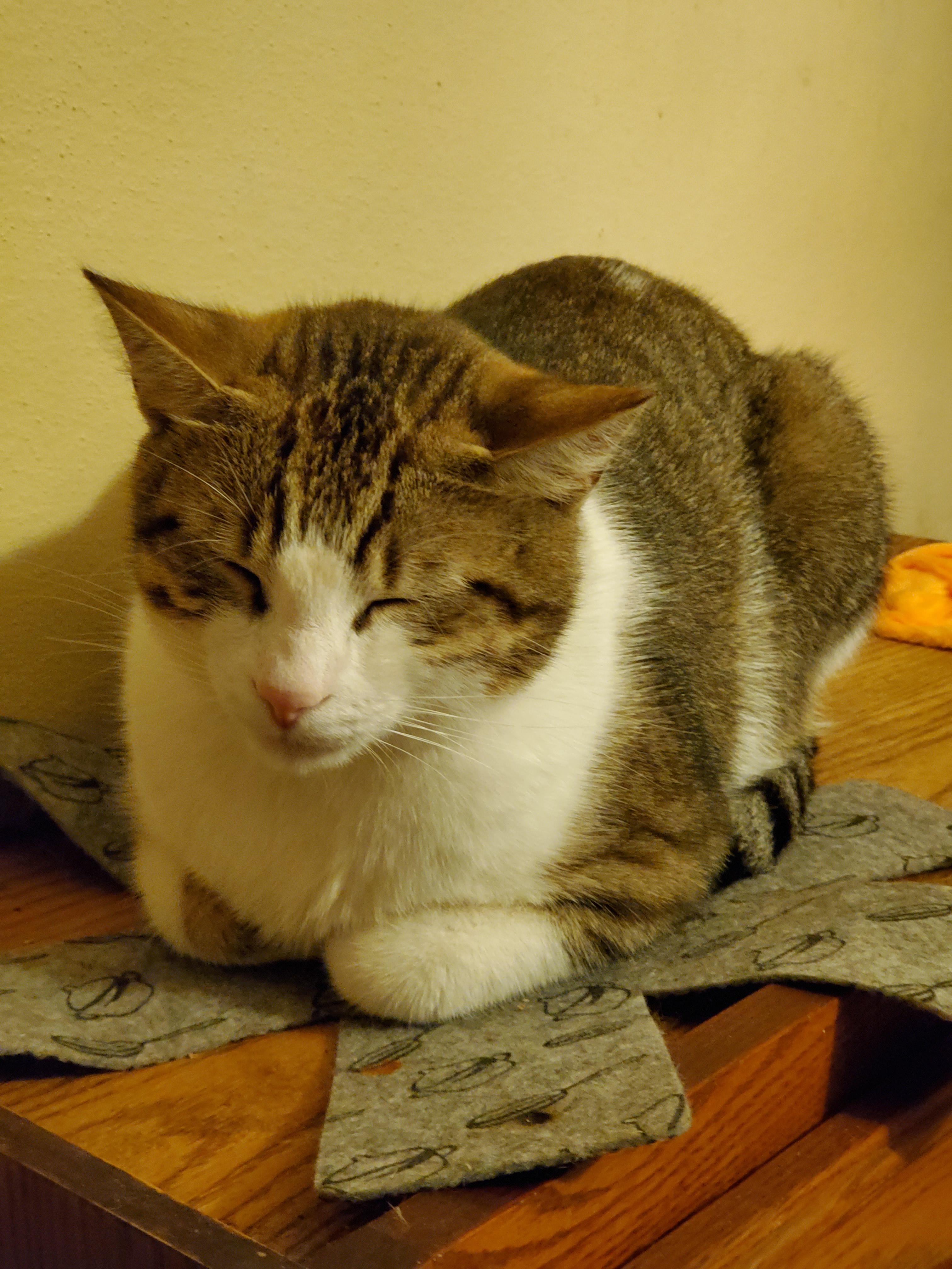 Hot loaf cooling down | Scrolller