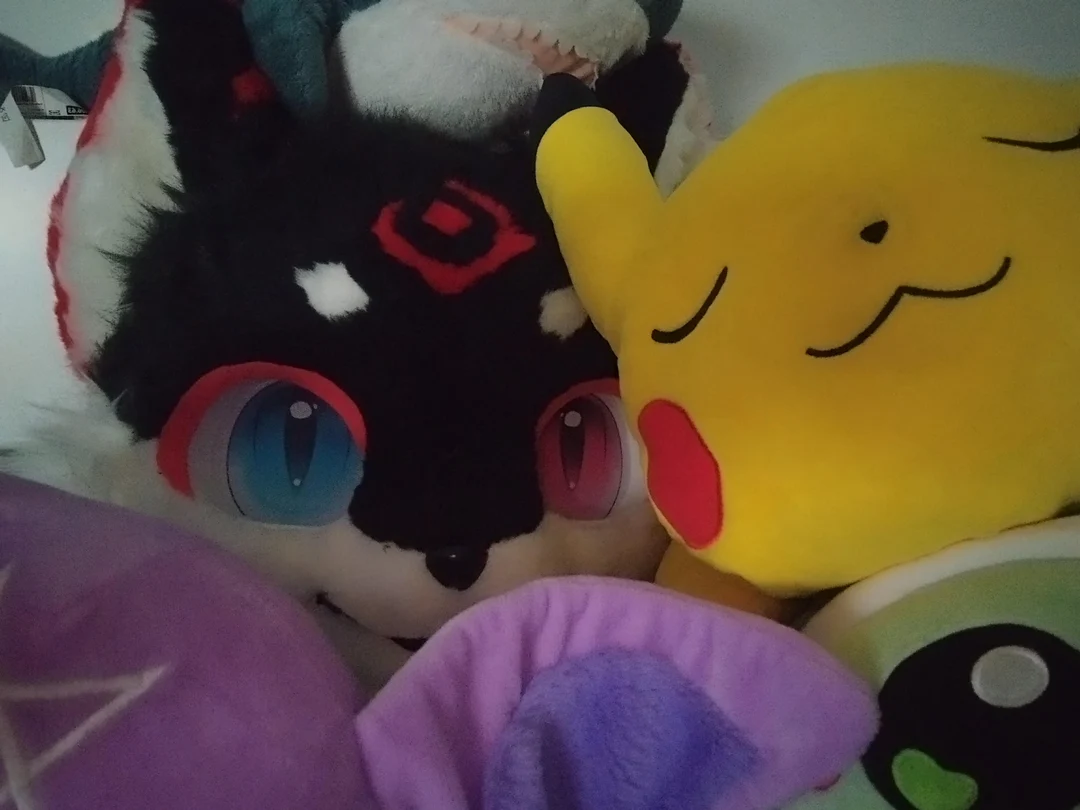 I HAVE BEEN KIDNAPPED BY THE PLUSHIES PLEASE SEND HELP | Scrolller