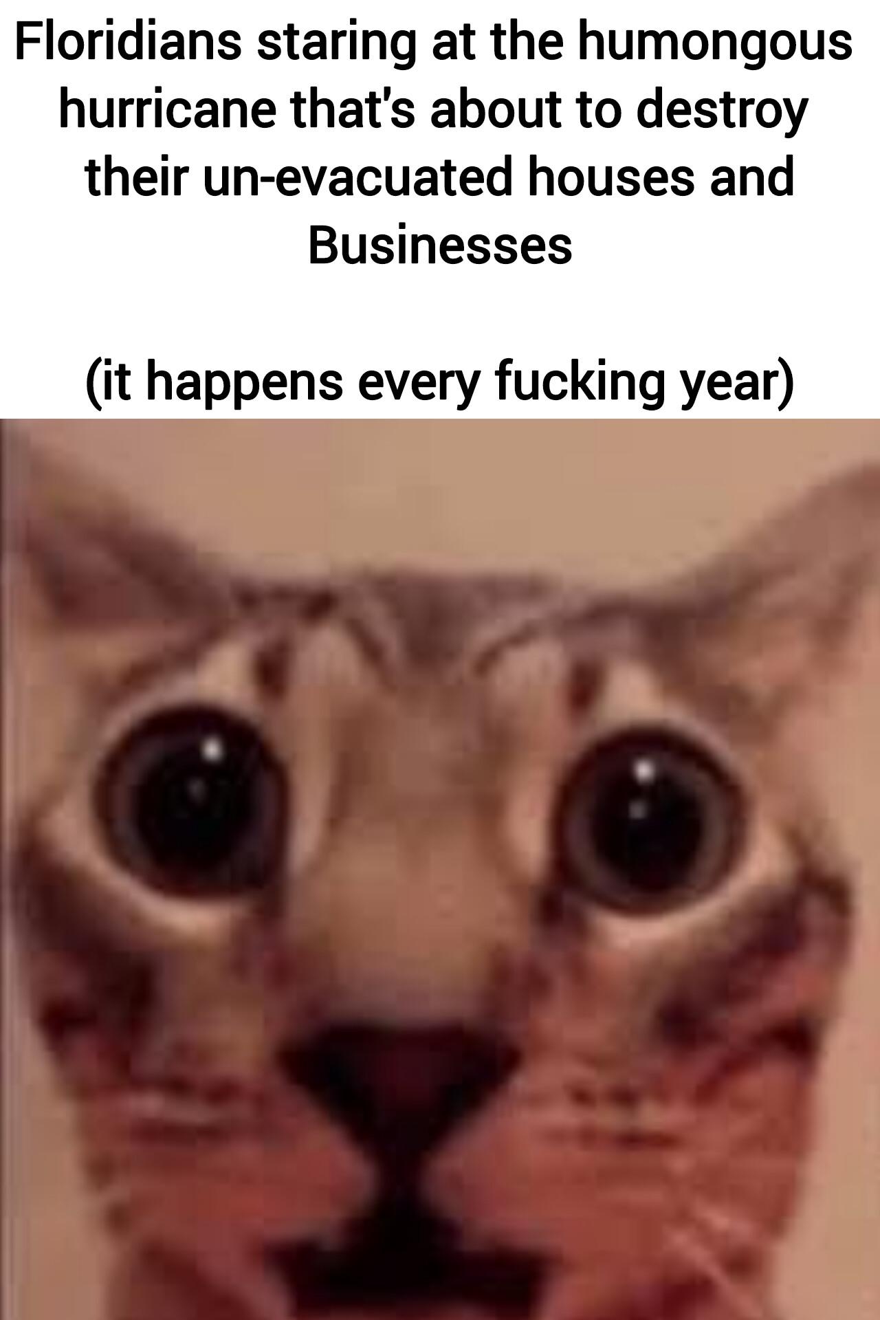 Why do they never learn | Scrolller