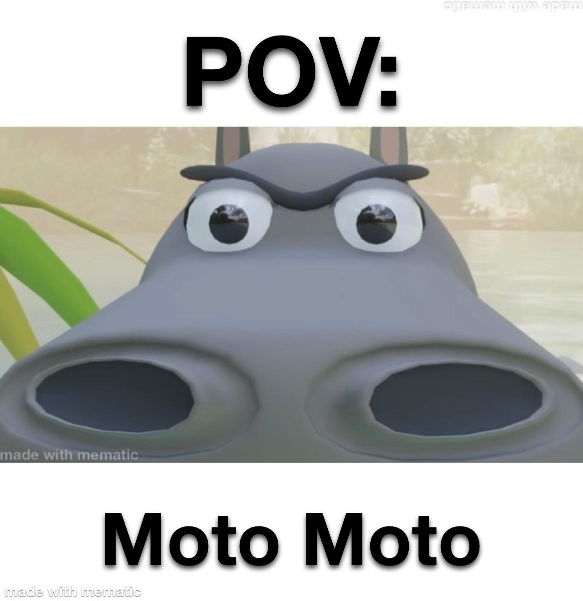 Moto 🦛 Moto | Scrolller