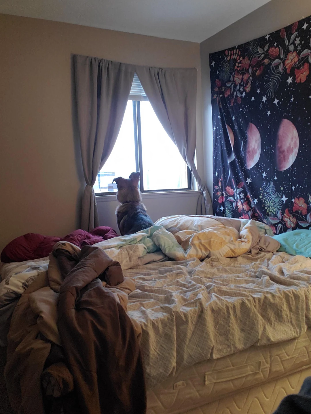 he protec | Scrolller