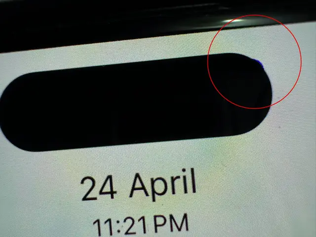 Presistant black spot in dynamic island (15 pro max) | Scrolller